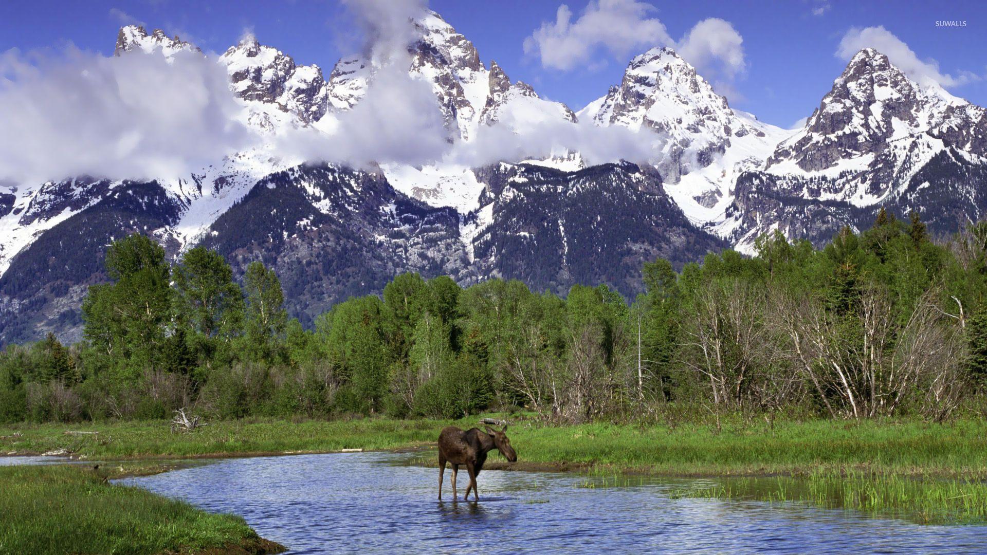 Grand Teton Wallpapers - Top Free Grand Teton Backgrounds - WallpaperAccess