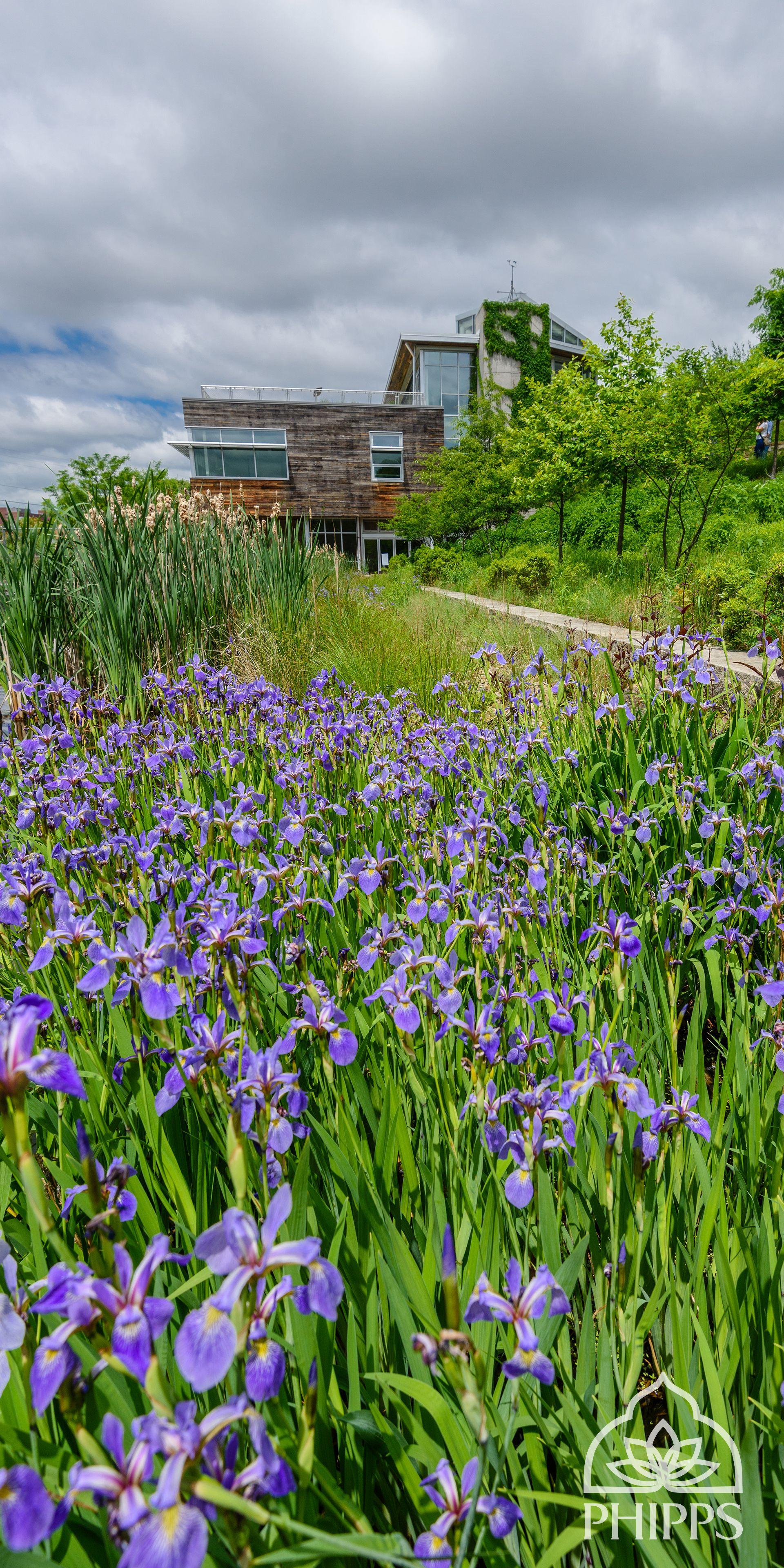 Sustainable Wallpapers - Top Free Sustainable Backgrounds - WallpaperAccess