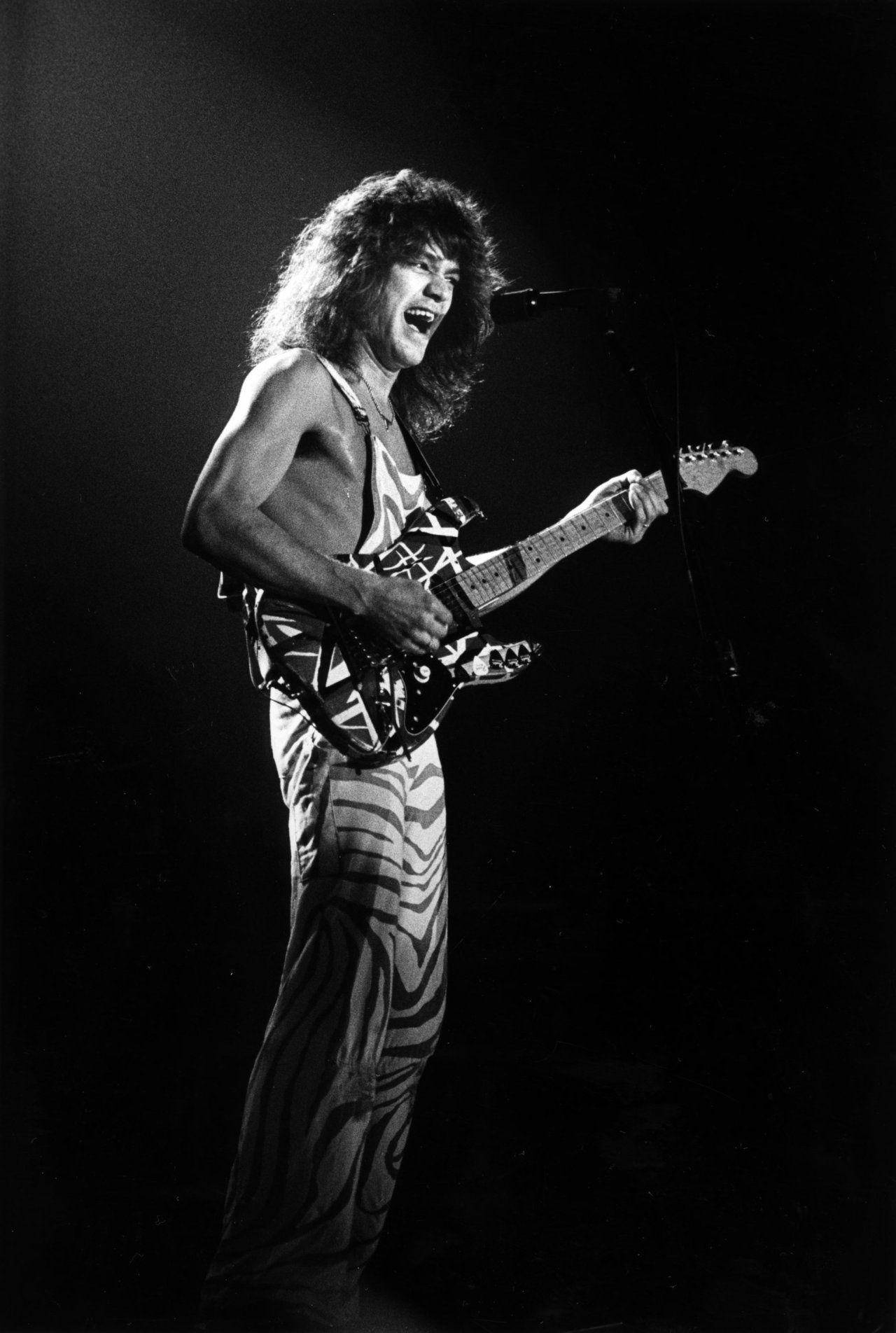 EVH Wallpapers - Top Free EVH Backgrounds - WallpaperAccess
