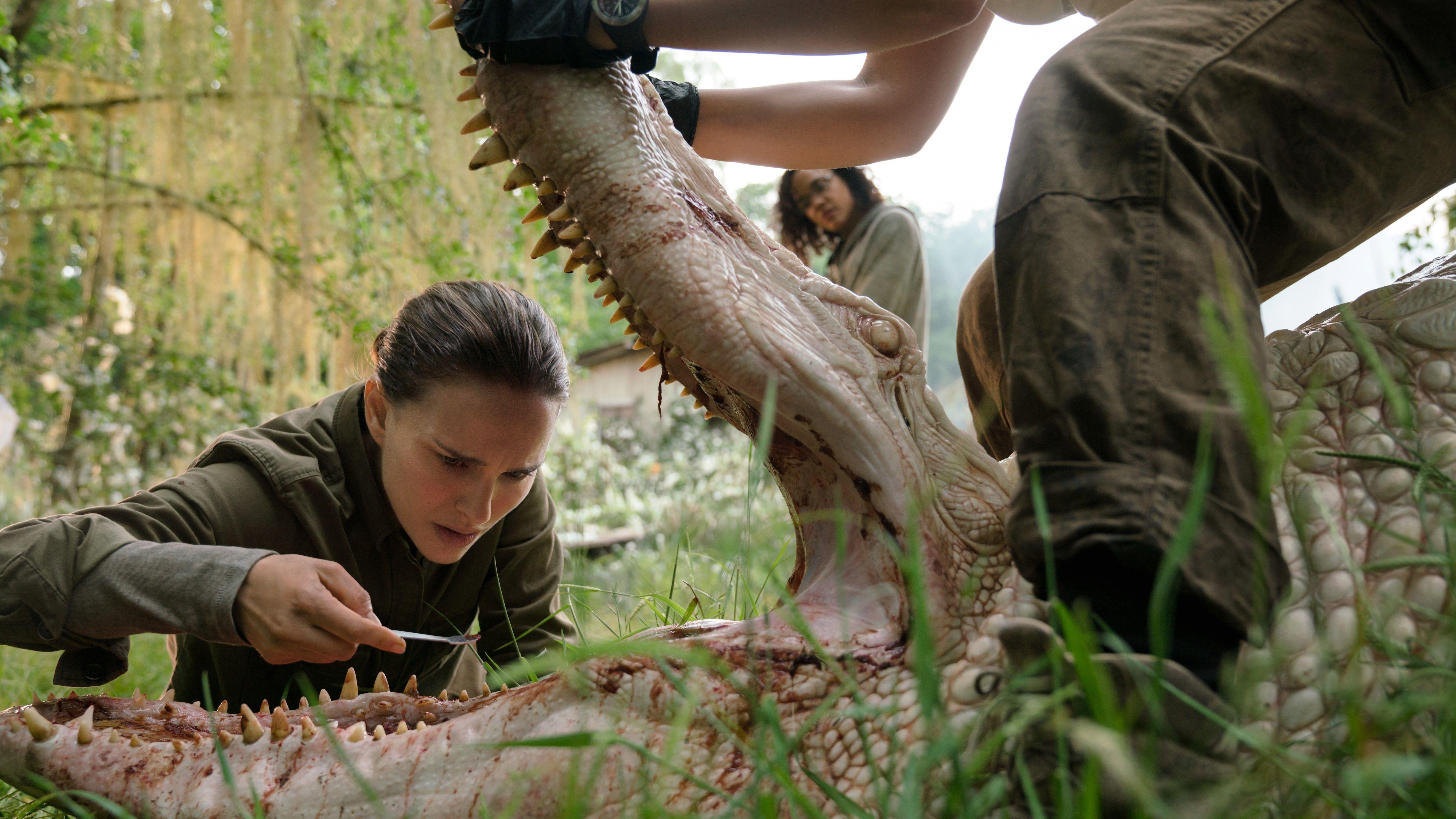 Annihilation Wallpapers - Top Free Annihilation Backgrounds ...