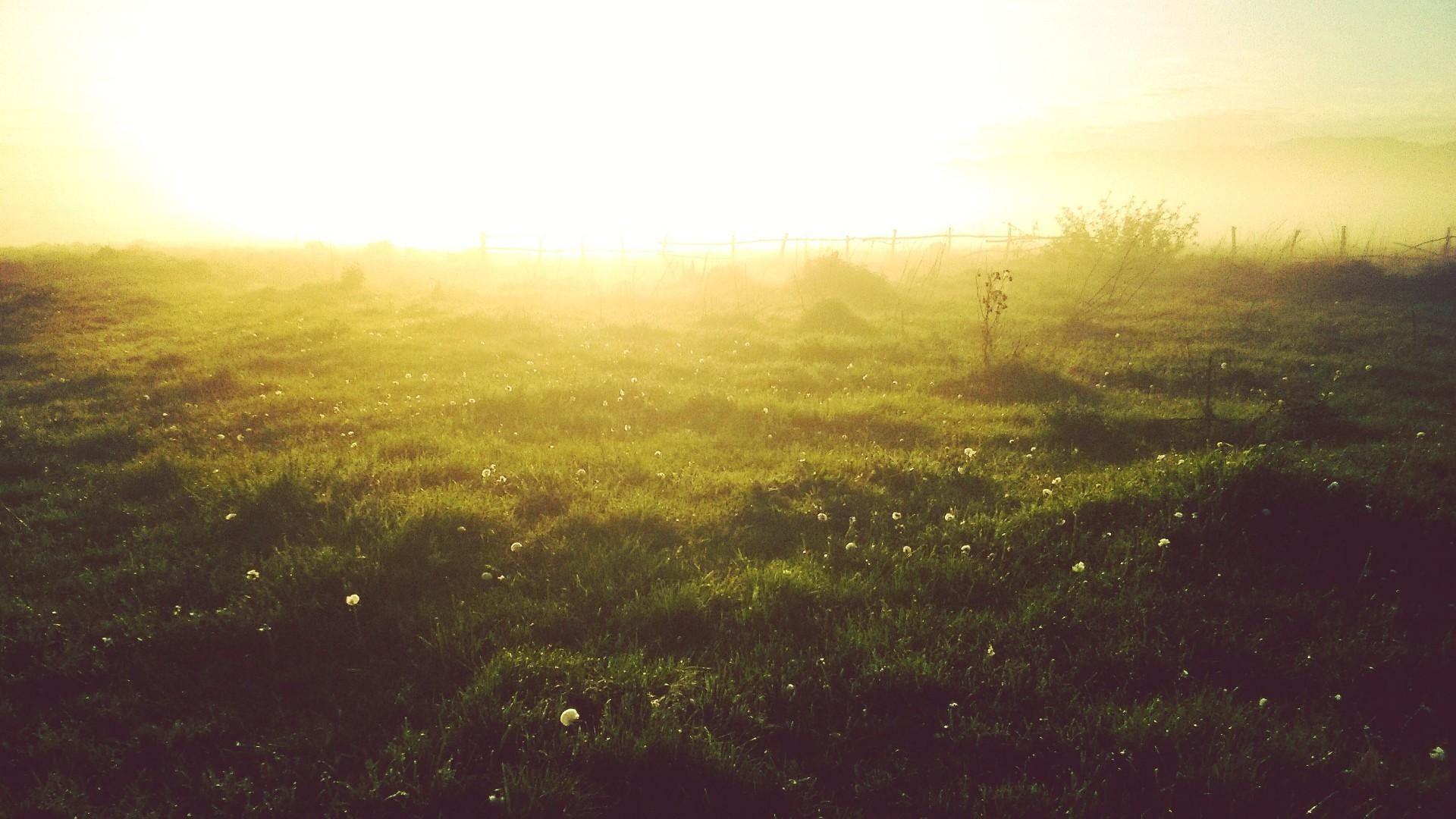 sunlight Wallpapers - Top Free sunlight Backgrounds - WallpaperAccess