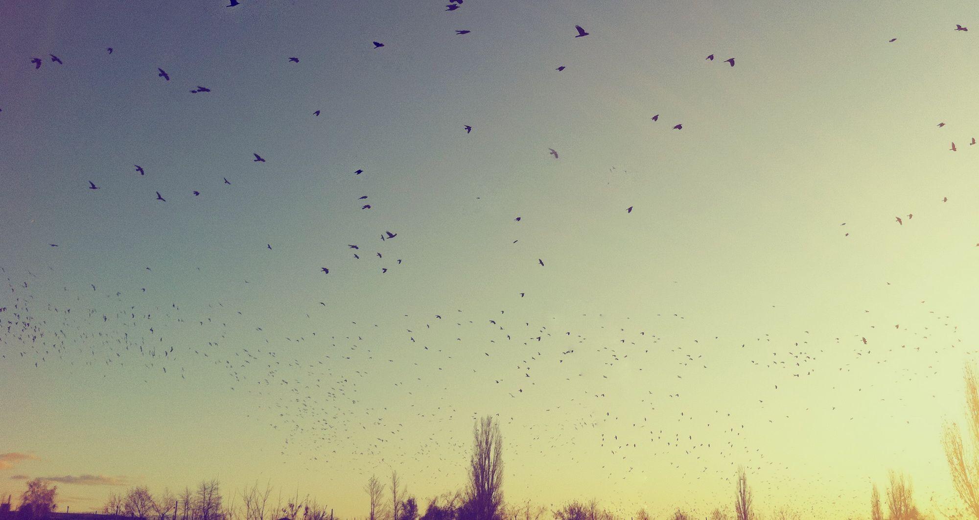 Cute Indie Wallpapers - Top Free Cute Indie Backgrounds - WallpaperAccess