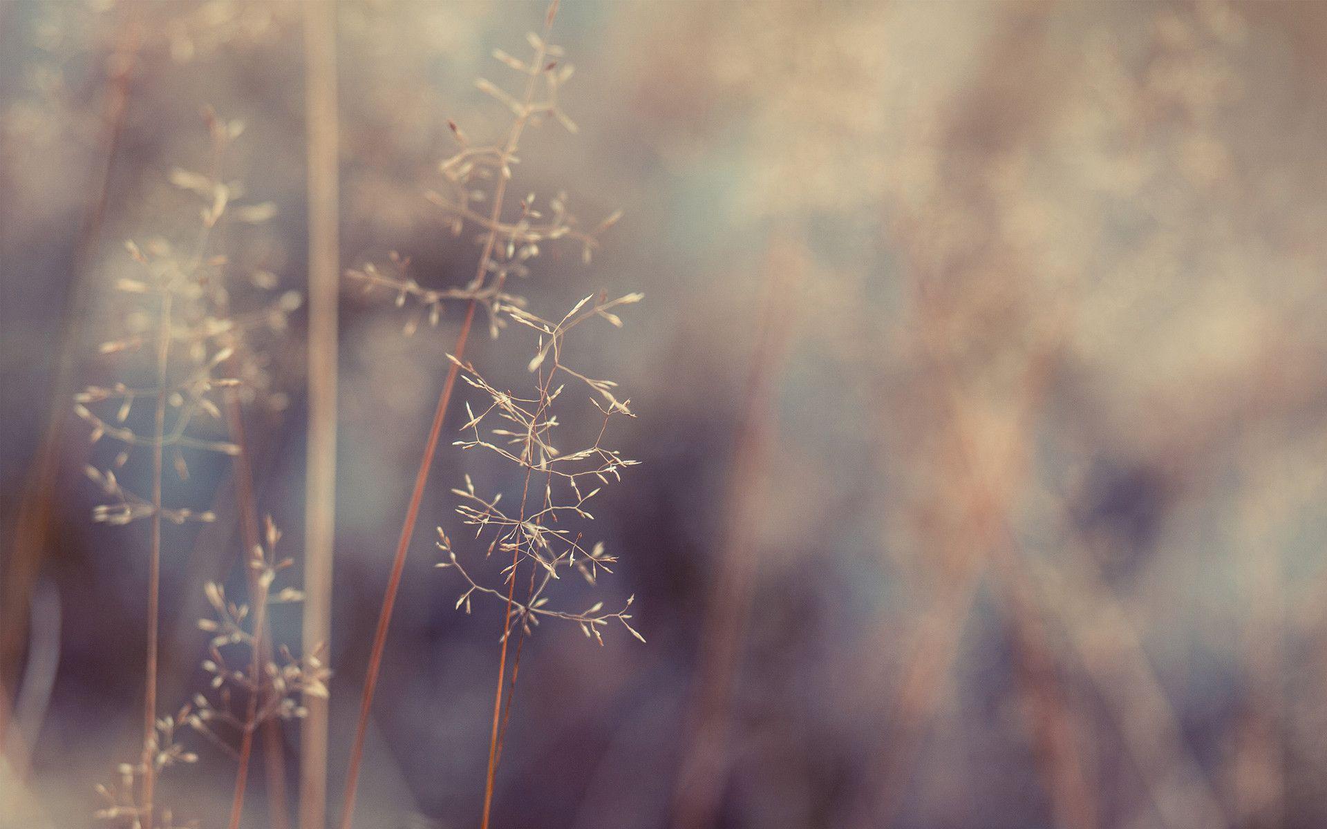 Indie Laptop Wallpapers - Top Free Indie Laptop Backgrounds ...