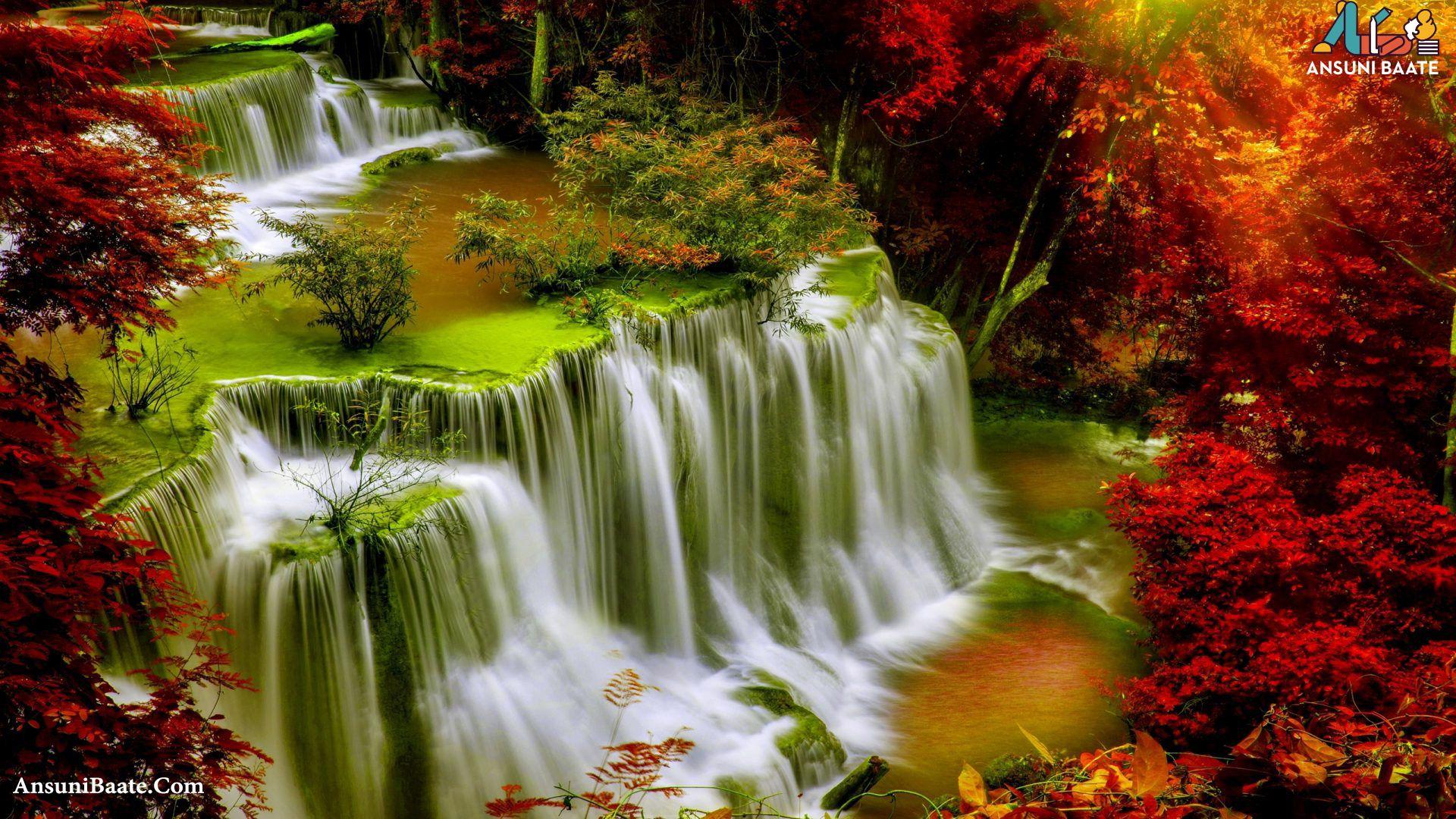 Full HD Nature Wallpapers - Top Free Full HD Nature Backgrounds ...
