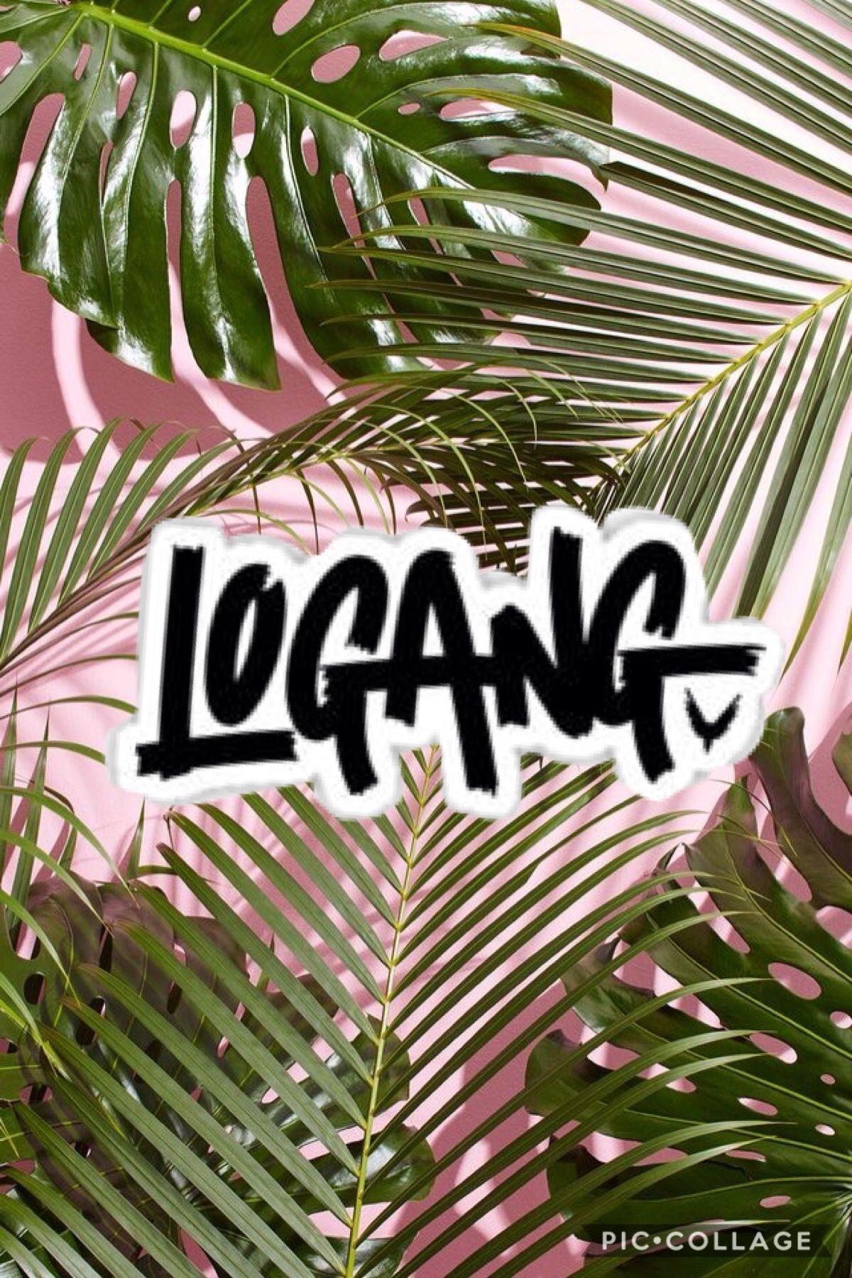 Logang Wallpapers - Top Free Logang Backgrounds - WallpaperAccess