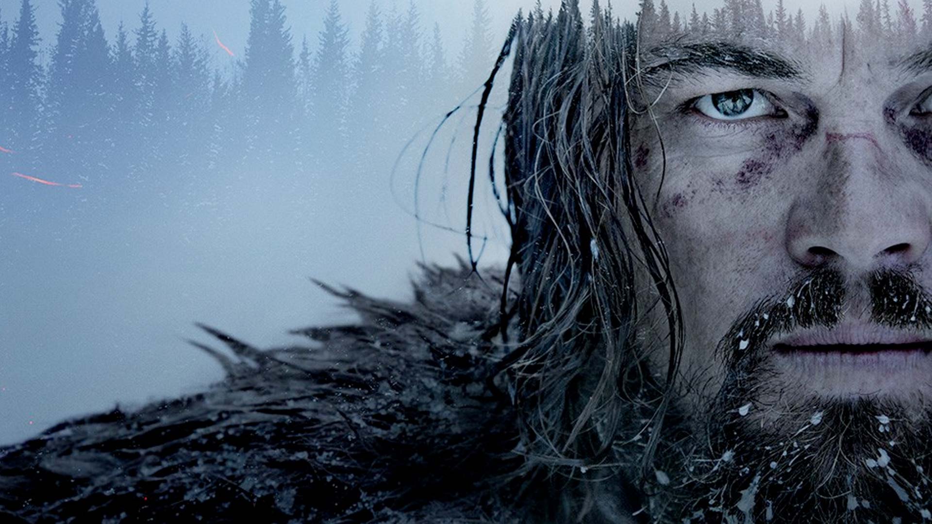 The Revenant Wallpapers - Top Free The Revenant Backgrounds ...