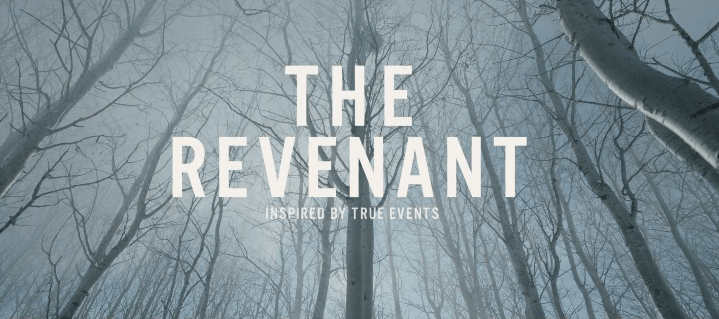 The Revenant Wallpapers - Top Free The Revenant Backgrounds ...