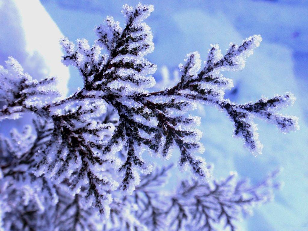 Snow Fall Wallpapers - Top Free Snow Fall Backgrounds - WallpaperAccess