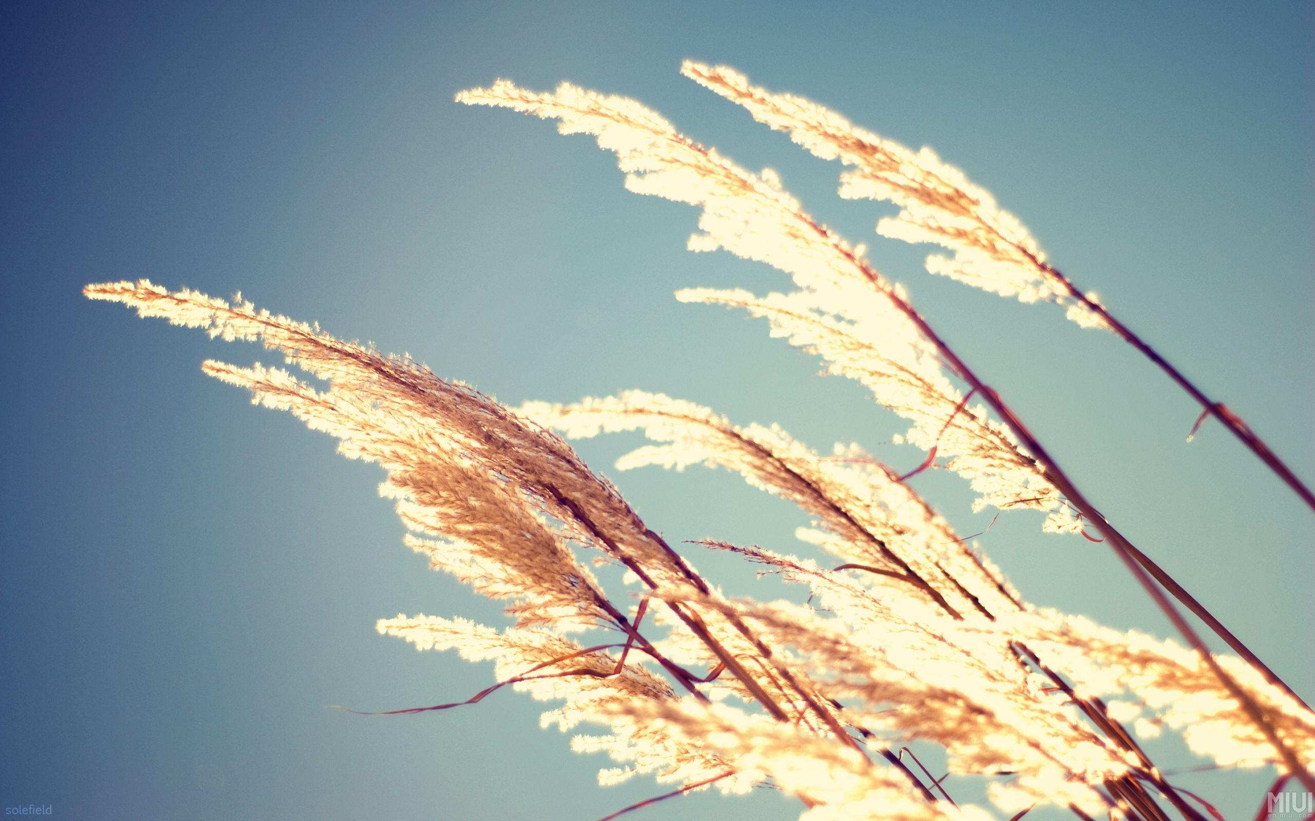 Movement Wallpapers - Top Free Movement Backgrounds - WallpaperAccess