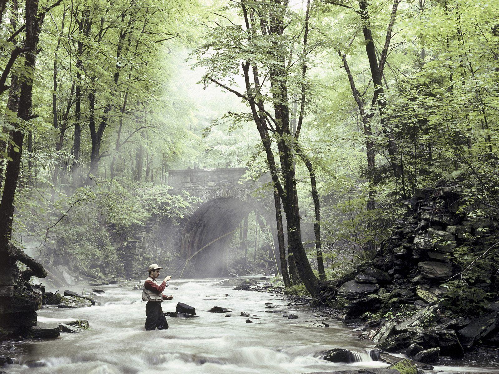 Solitude Wallpapers - Top Free Solitude Backgrounds - WallpaperAccess