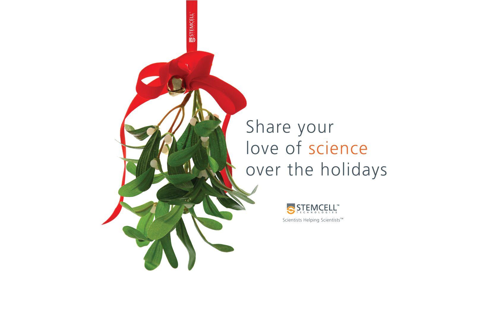 Mistletoe Wallpapers - Top Free Mistletoe Backgrounds - WallpaperAccess