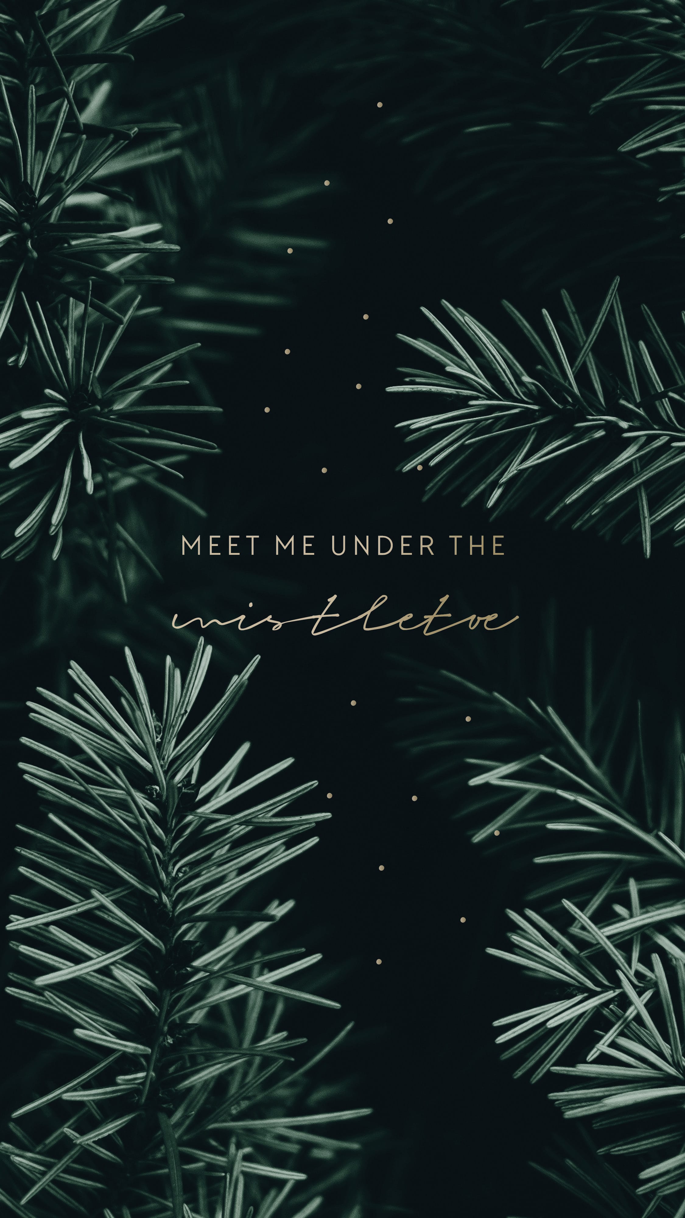 Mistletoe Wallpapers - Top Free Mistletoe Backgrounds - WallpaperAccess