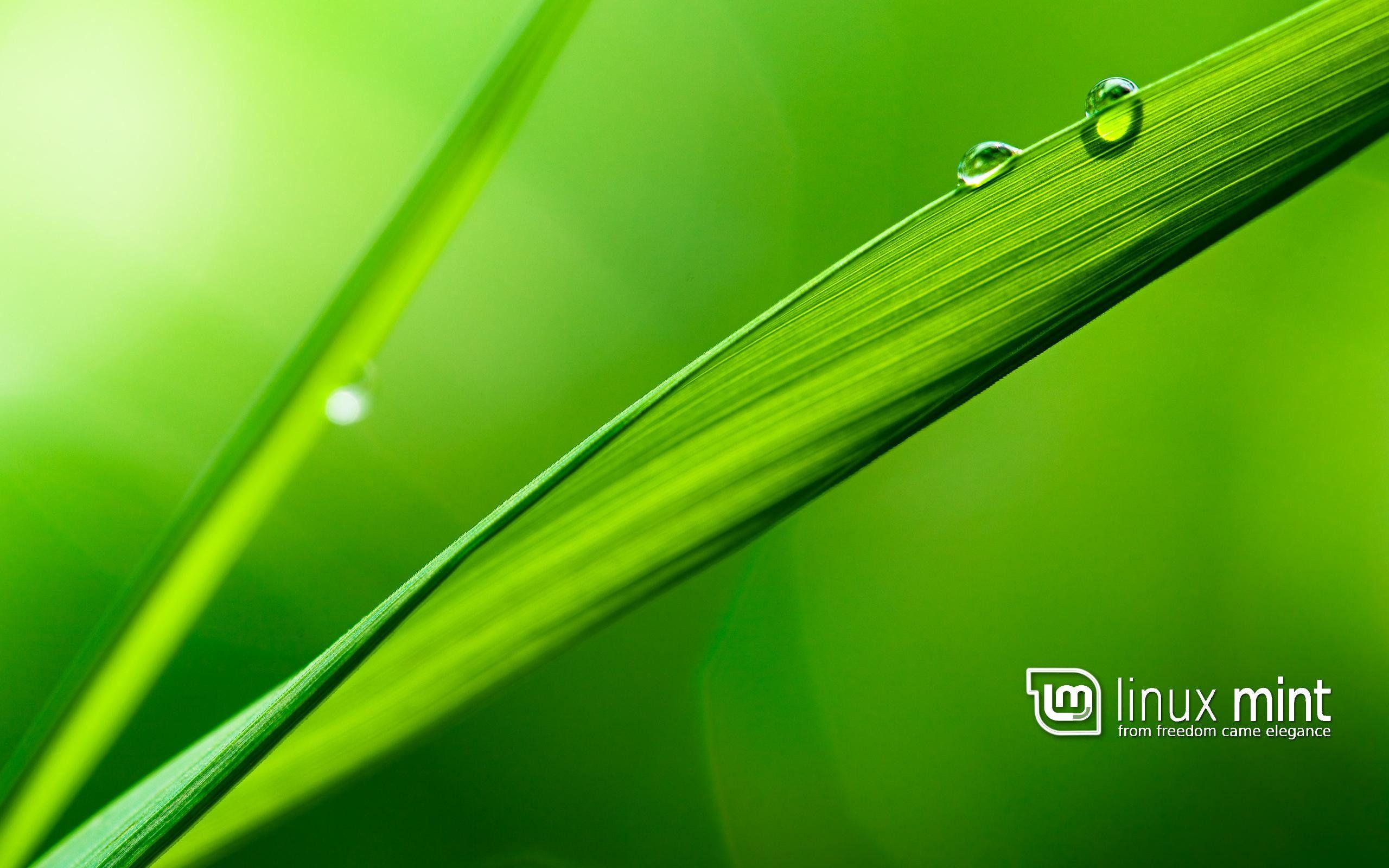 Linux Mint Wallpapers - Top Free Linux Mint Backgrounds - WallpaperAccess