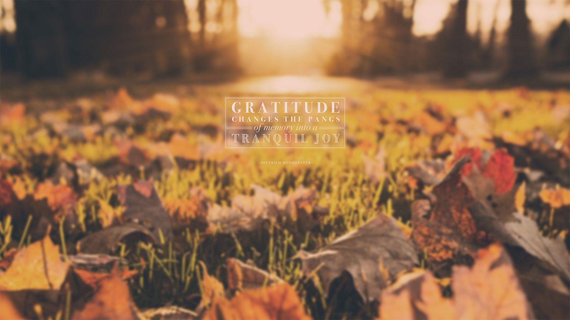 Gratitude Wallpapers - Top Free Gratitude Backgrounds - WallpaperAccess