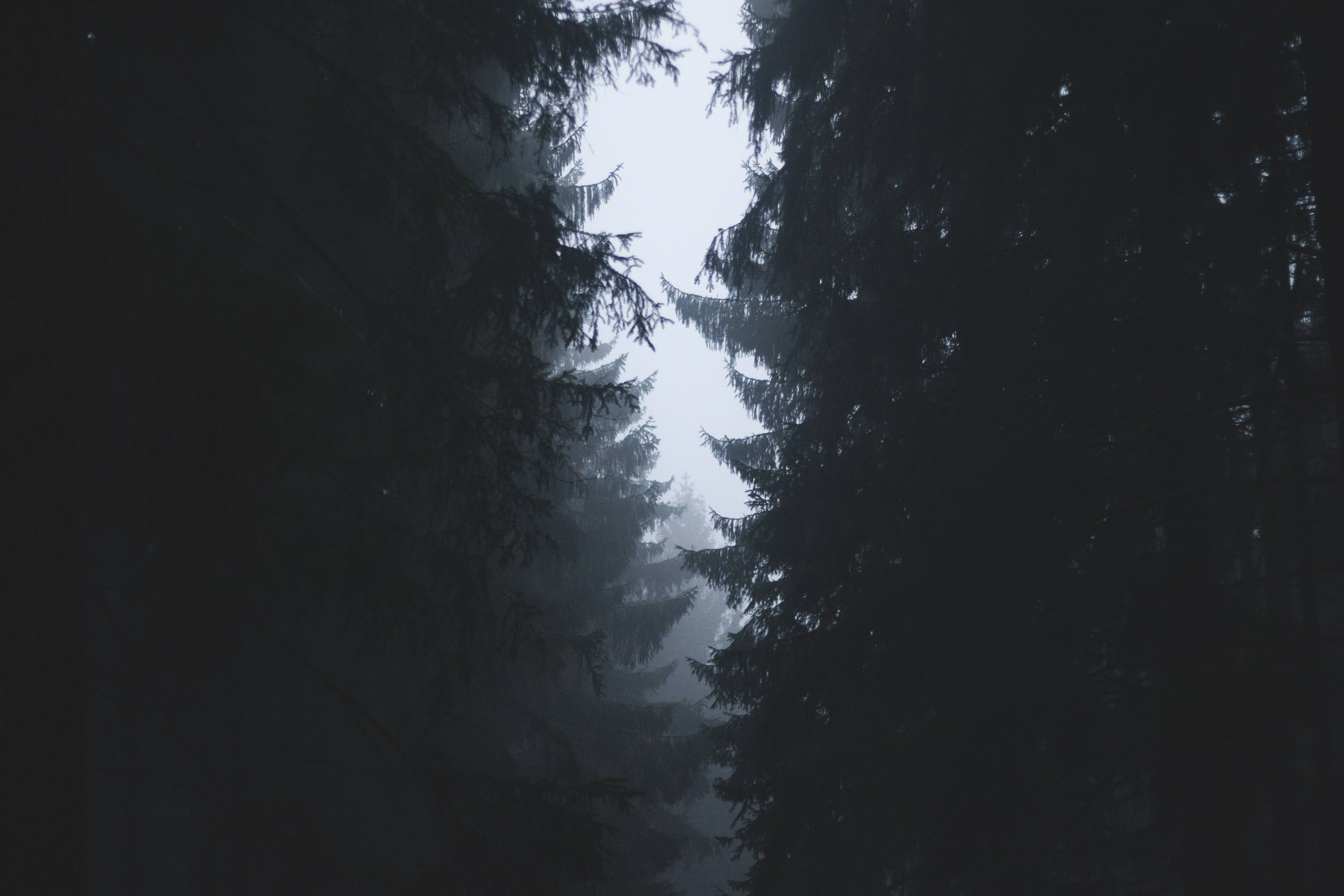 Gloomy Wallpapers - Top Free Gloomy Backgrounds - WallpaperAccess