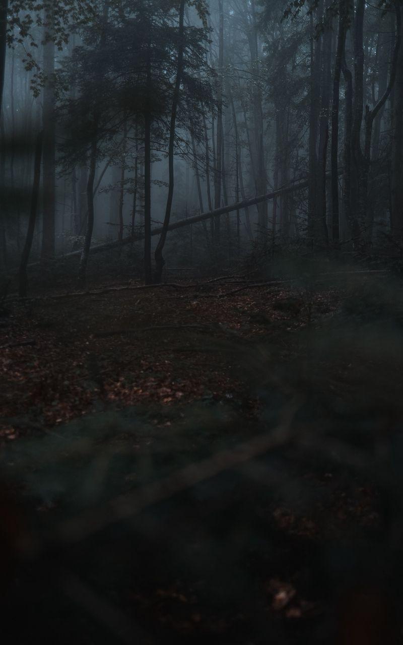 Gloomy Wallpapers - Top Free Gloomy Backgrounds - WallpaperAccess