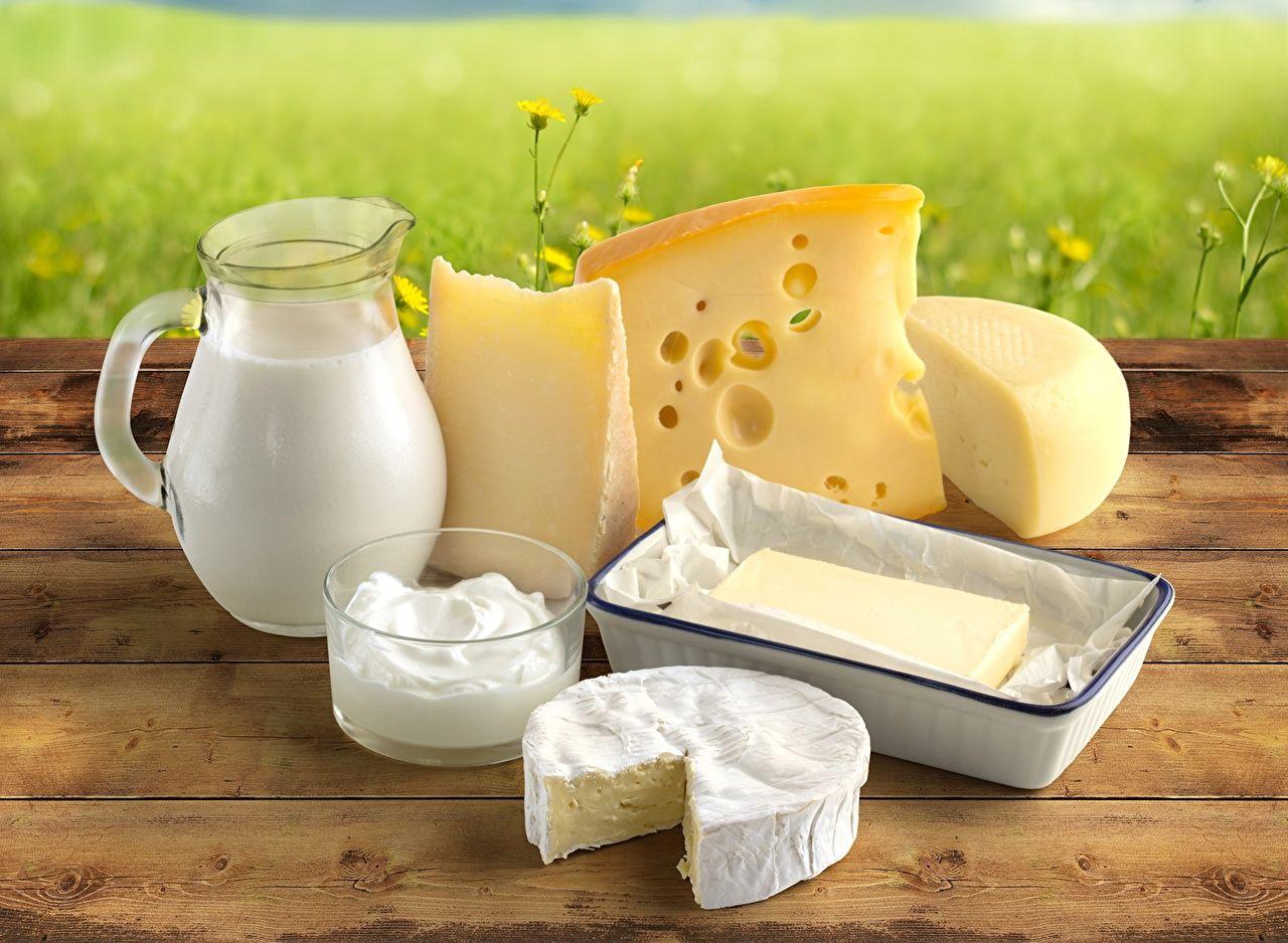 Cheese Wallpapers - Top Free Cheese Backgrounds - WallpaperAccess