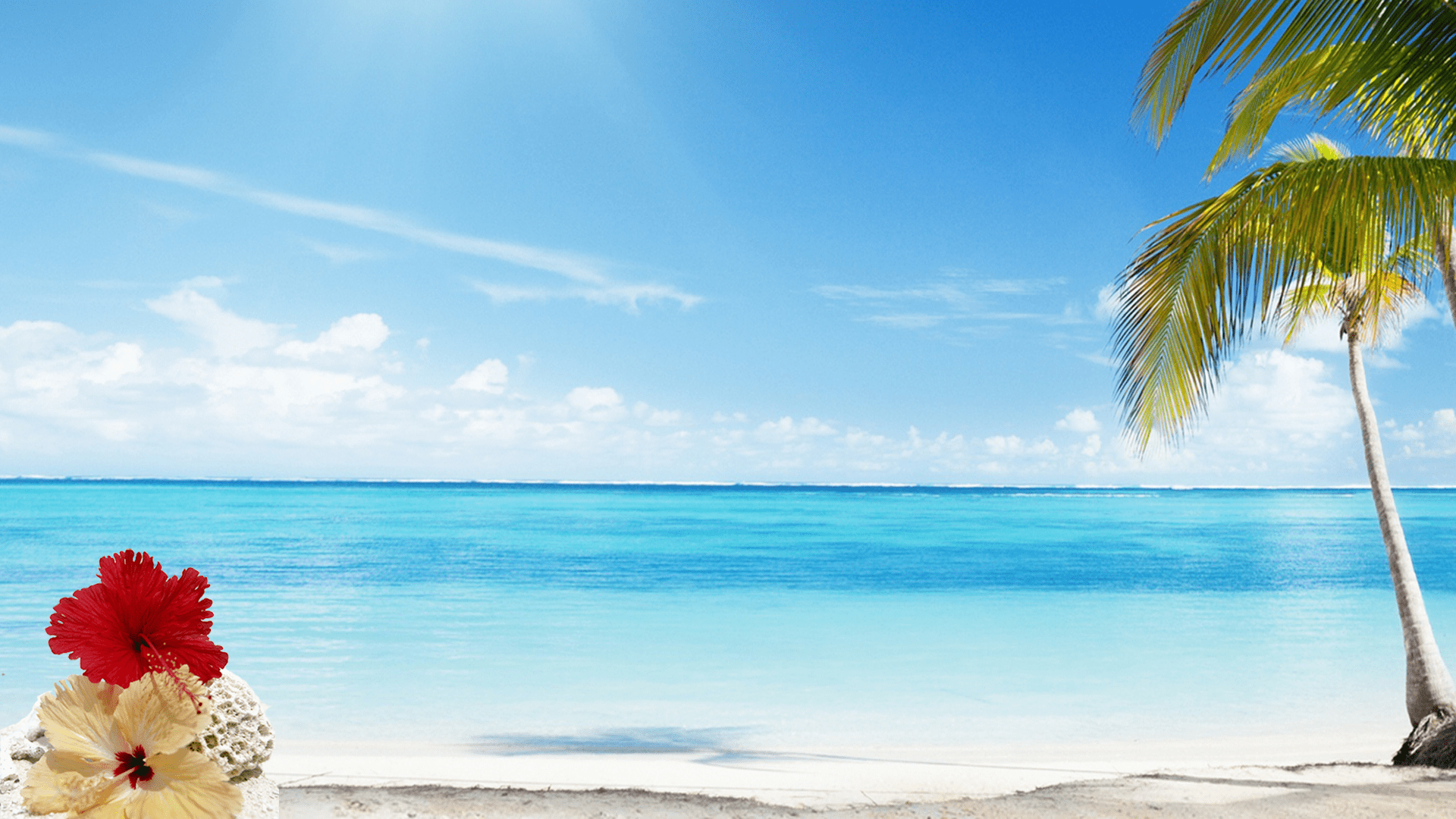 Sea Beach Wallpapers - Top Free Sea Beach Backgrounds - WallpaperAccess