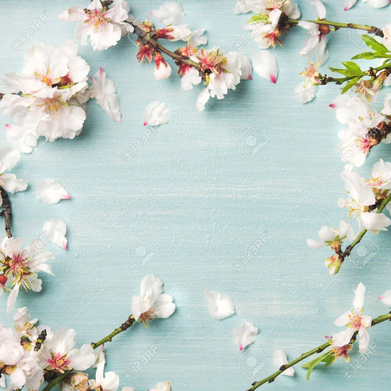 Flat Lay Wallpapers - Top Free Flat Lay Backgrounds - WallpaperAccess