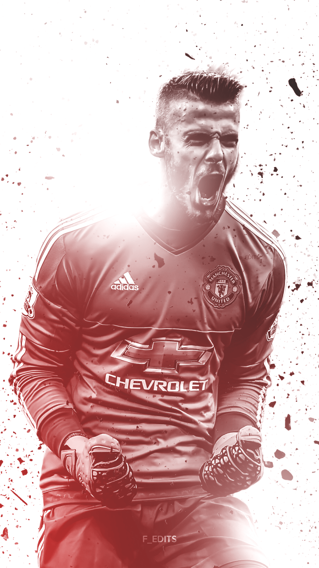David De GEA Wallpapers - Top Free David De GEA Backgrounds ...