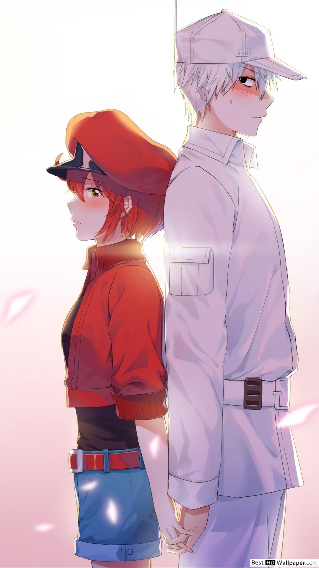 Cells at Work! Wallpapers - Top Free Cells at Work! Backgrounds ...