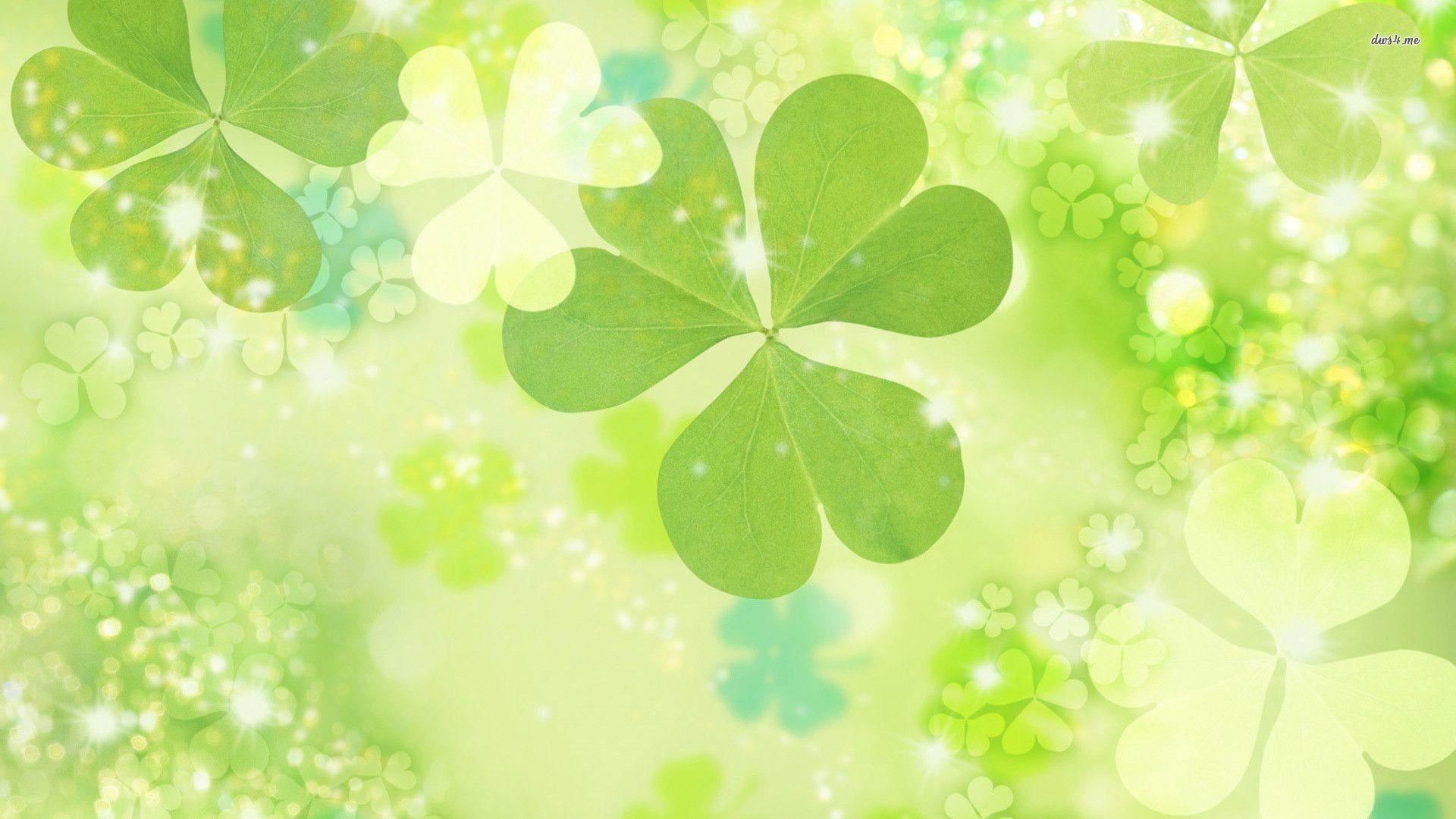 Clover Wallpapers - Top Free Clover Backgrounds - WallpaperAccess