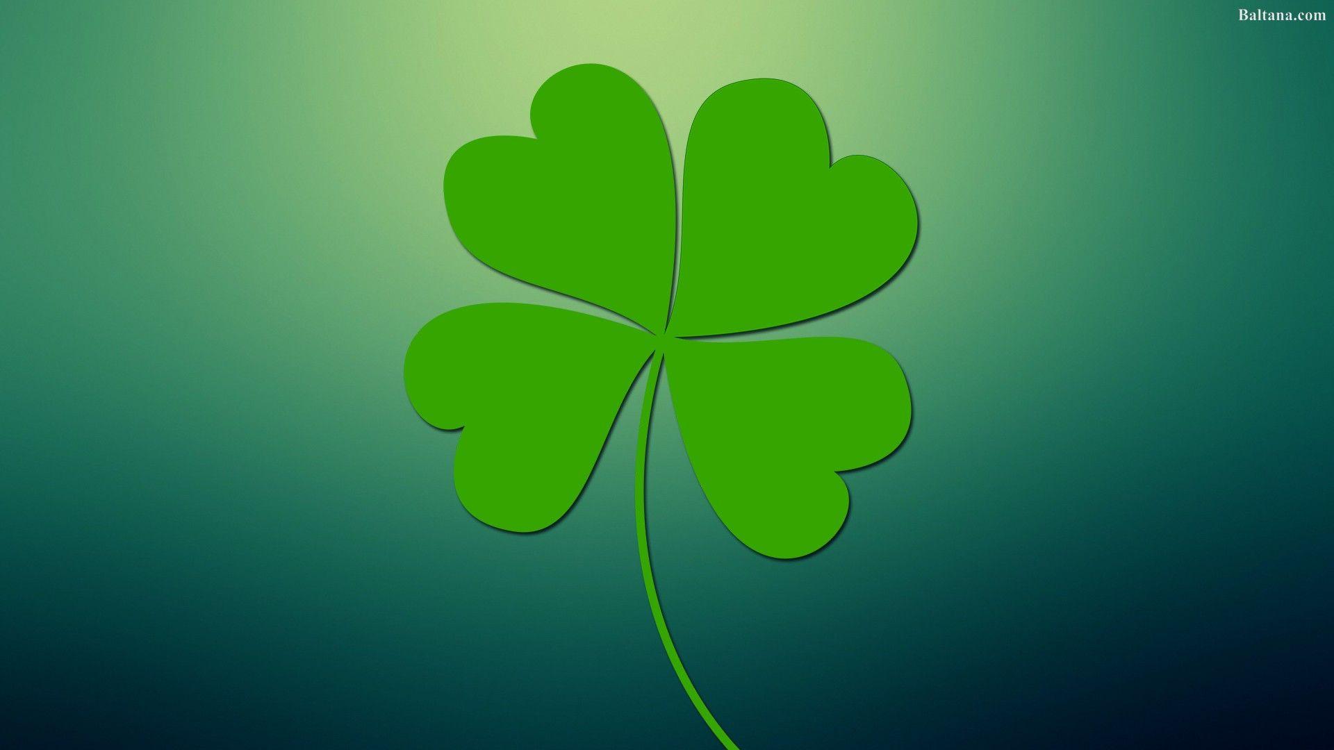 Clover Wallpapers - Top Free Clover Backgrounds - WallpaperAccess