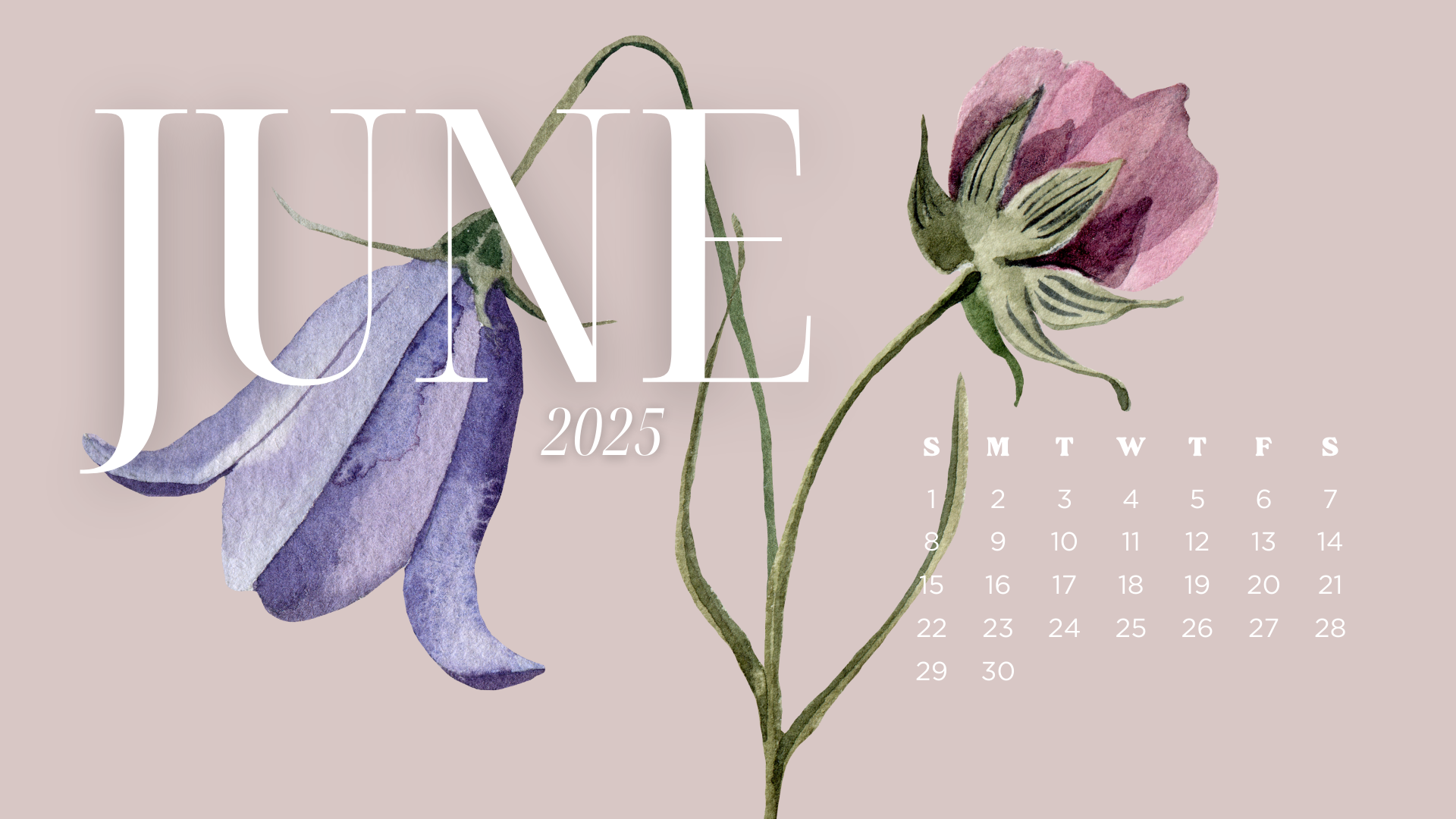 June 2025 Calendar Wallpapers - Top Free June 2025 Calendar Backgrounds ...