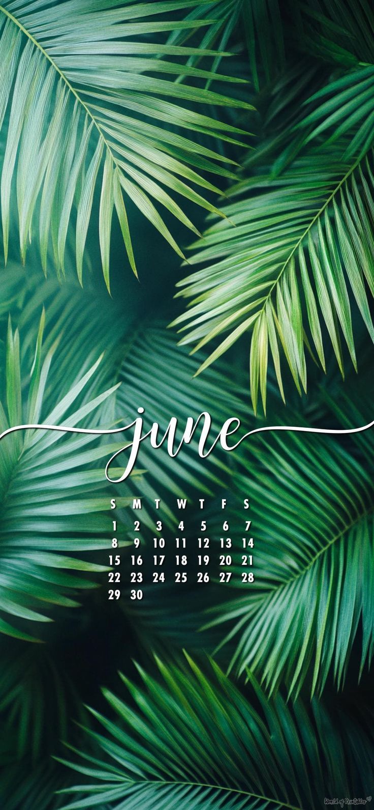 June 2025 Calendar Wallpapers - Top Free June 2025 Calendar Backgrounds ...