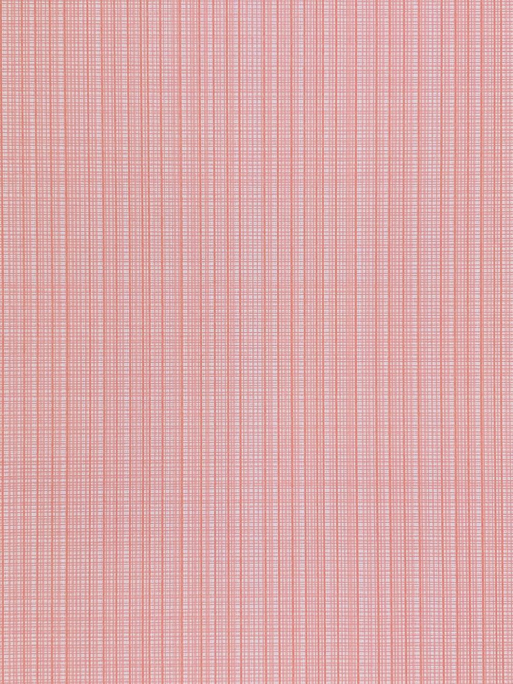 Pink Gingham Wallpapers - Top Free Pink Gingham Backgrounds - WallpaperAccess