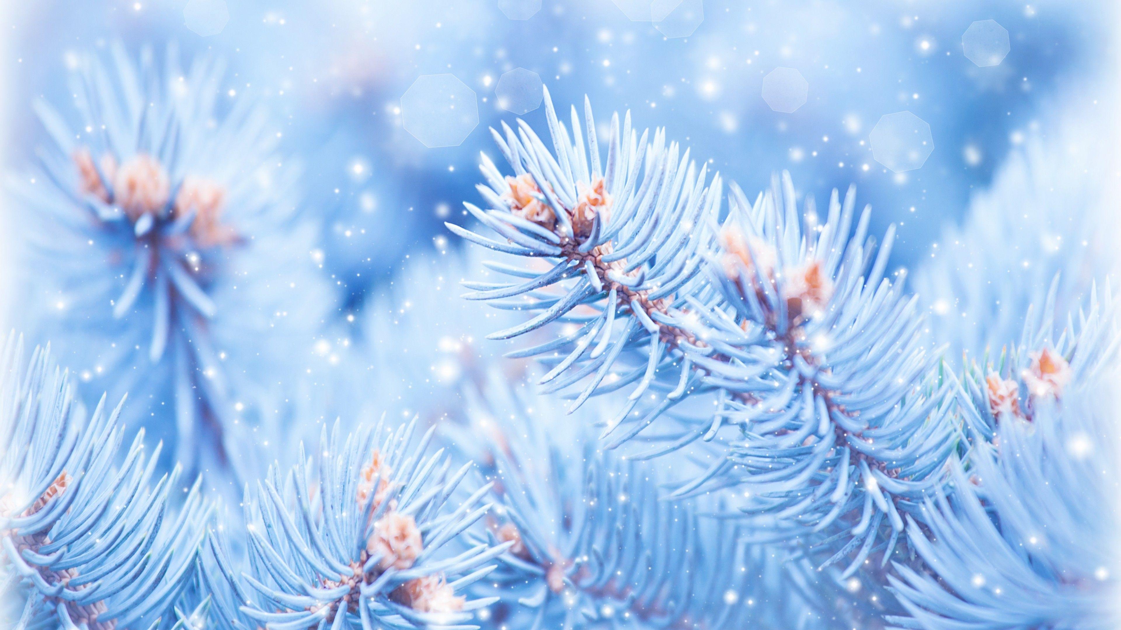 Christmas Winter Wallpapers - Top Free Christmas Winter Backgrounds ...