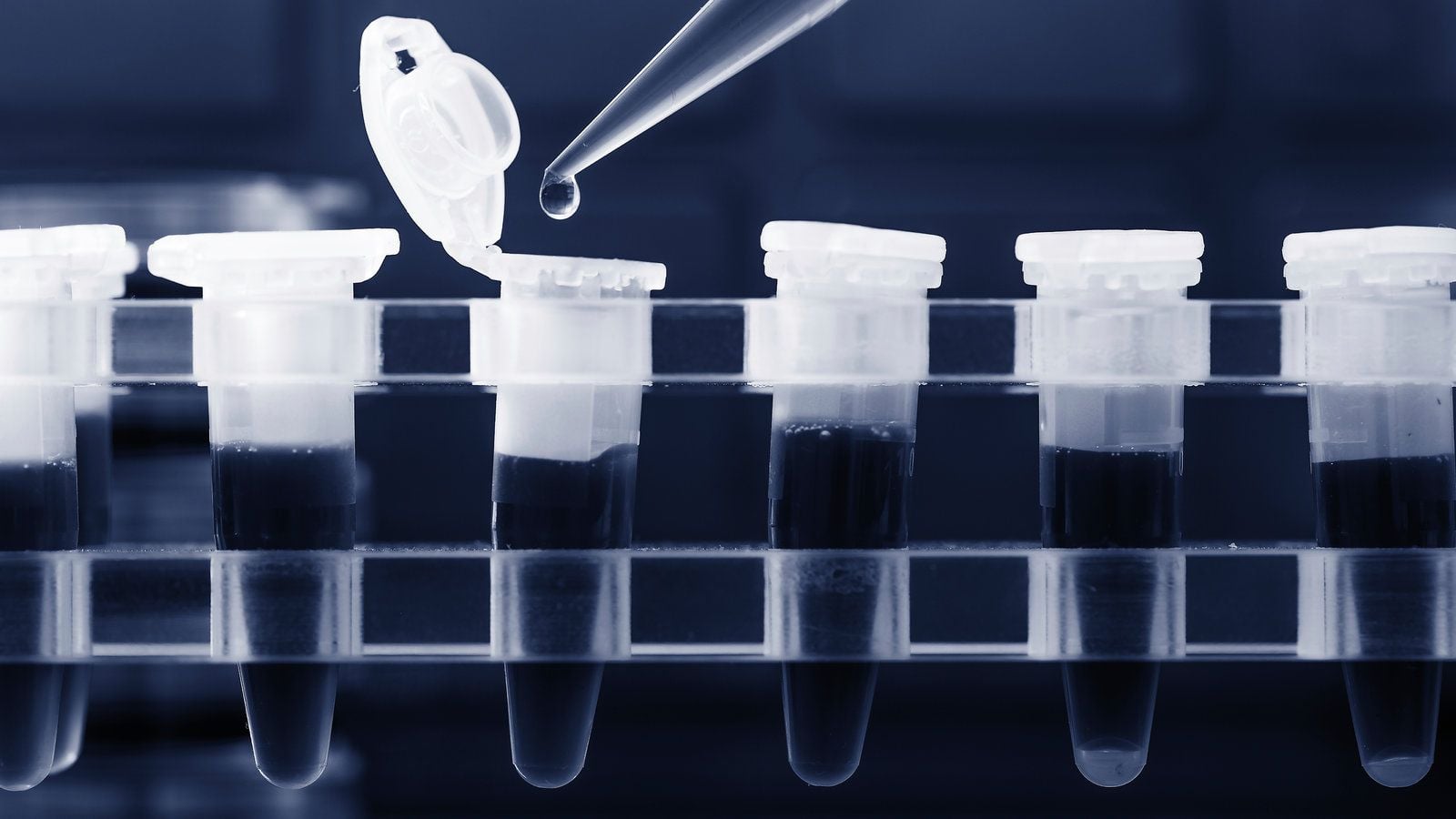 PCR Wallpapers - Top Free PCR Backgrounds - WallpaperAccess