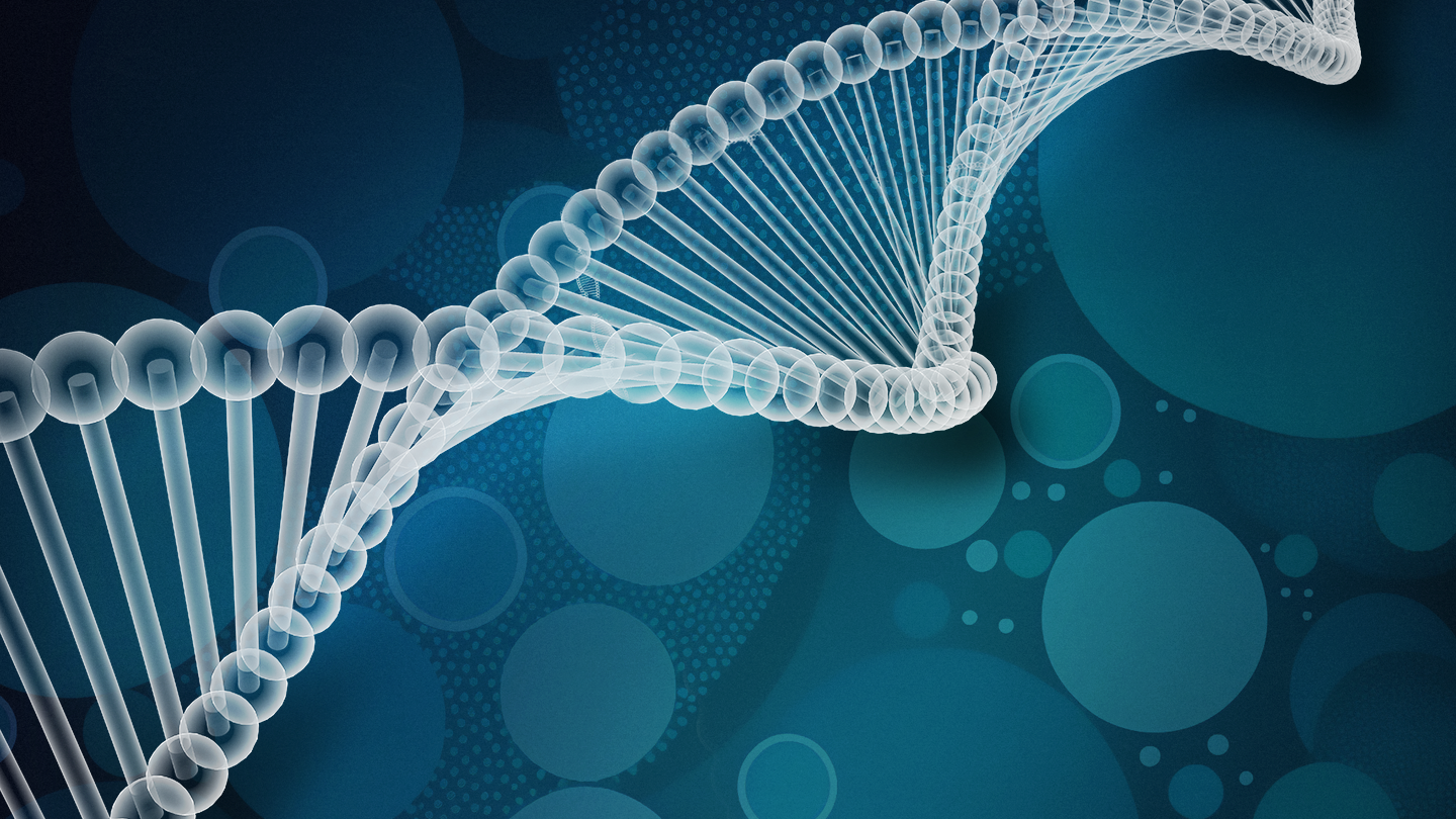 PCR Wallpapers - Top Free PCR Backgrounds - WallpaperAccess