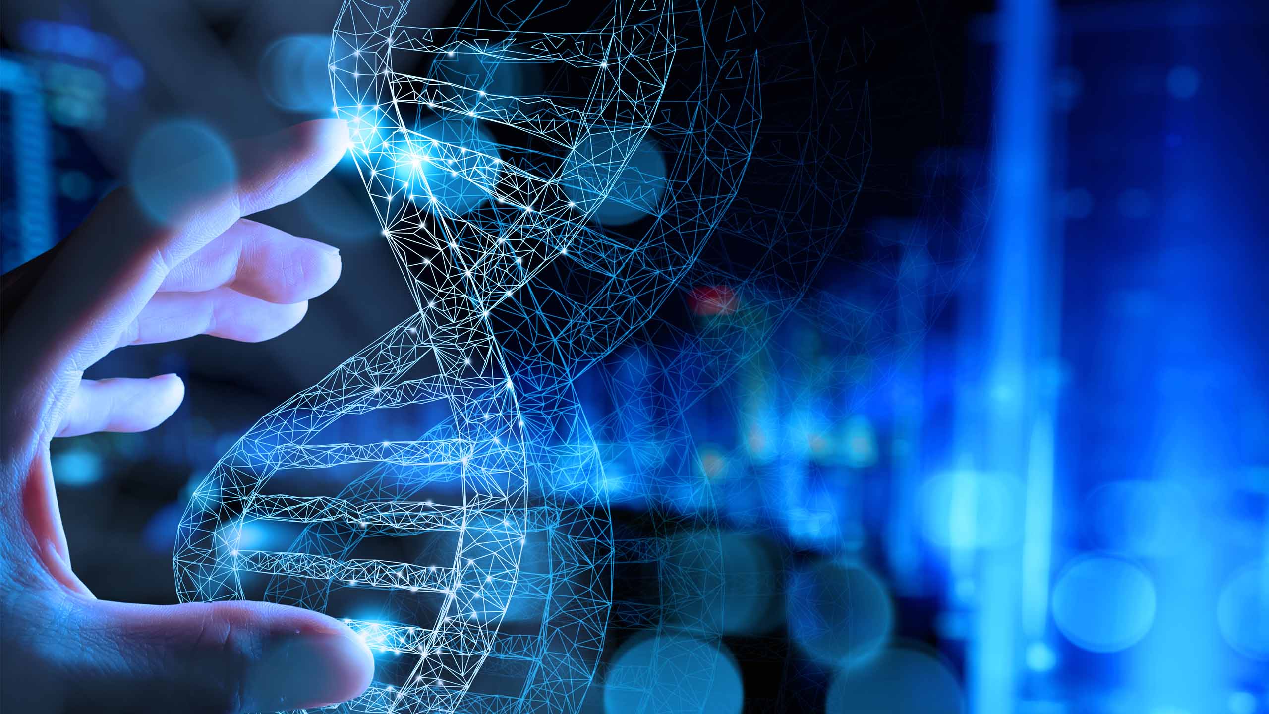 PCR Wallpapers - Top Free PCR Backgrounds - WallpaperAccess