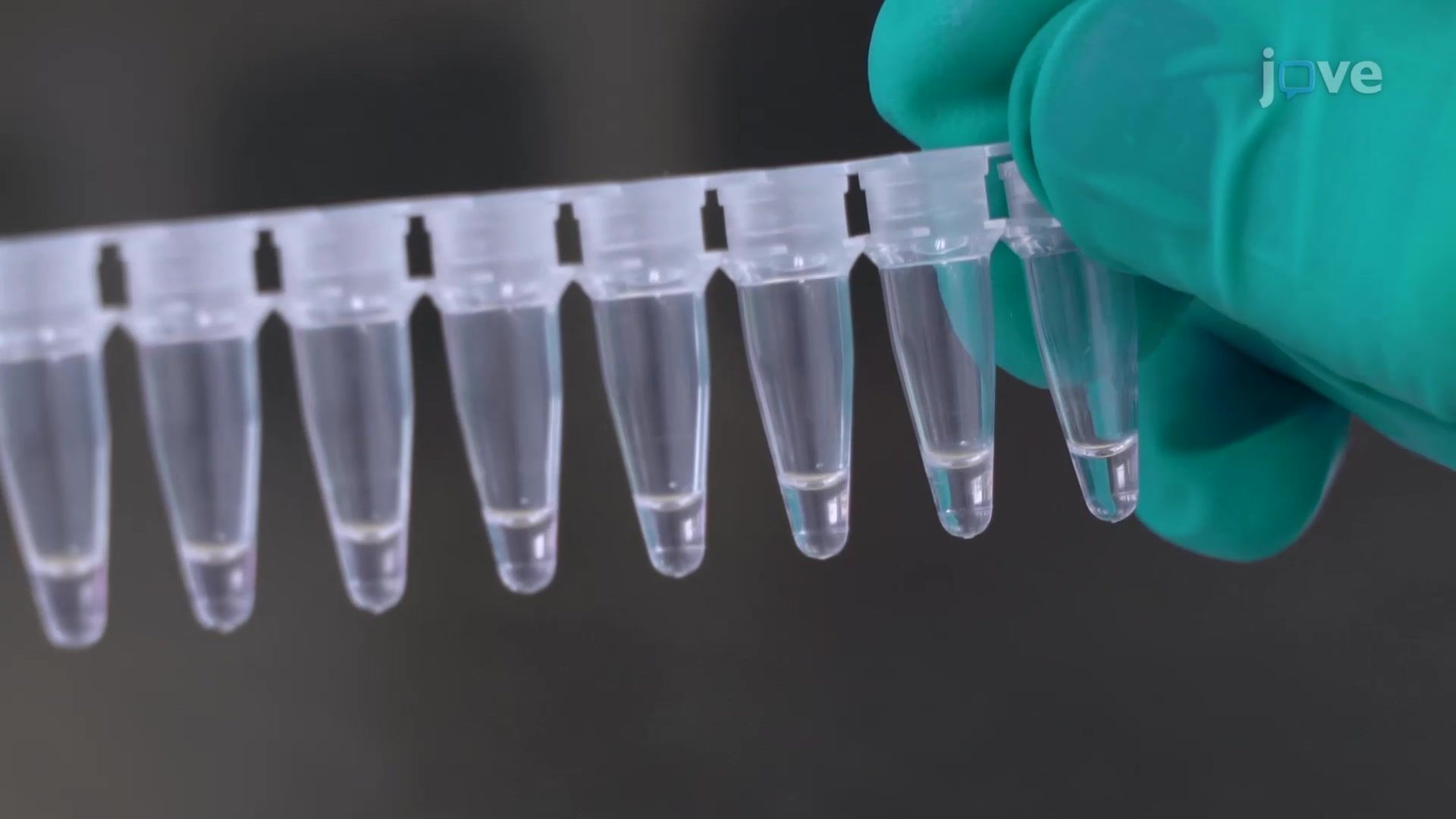 PCR Wallpapers - Top Free PCR Backgrounds - WallpaperAccess