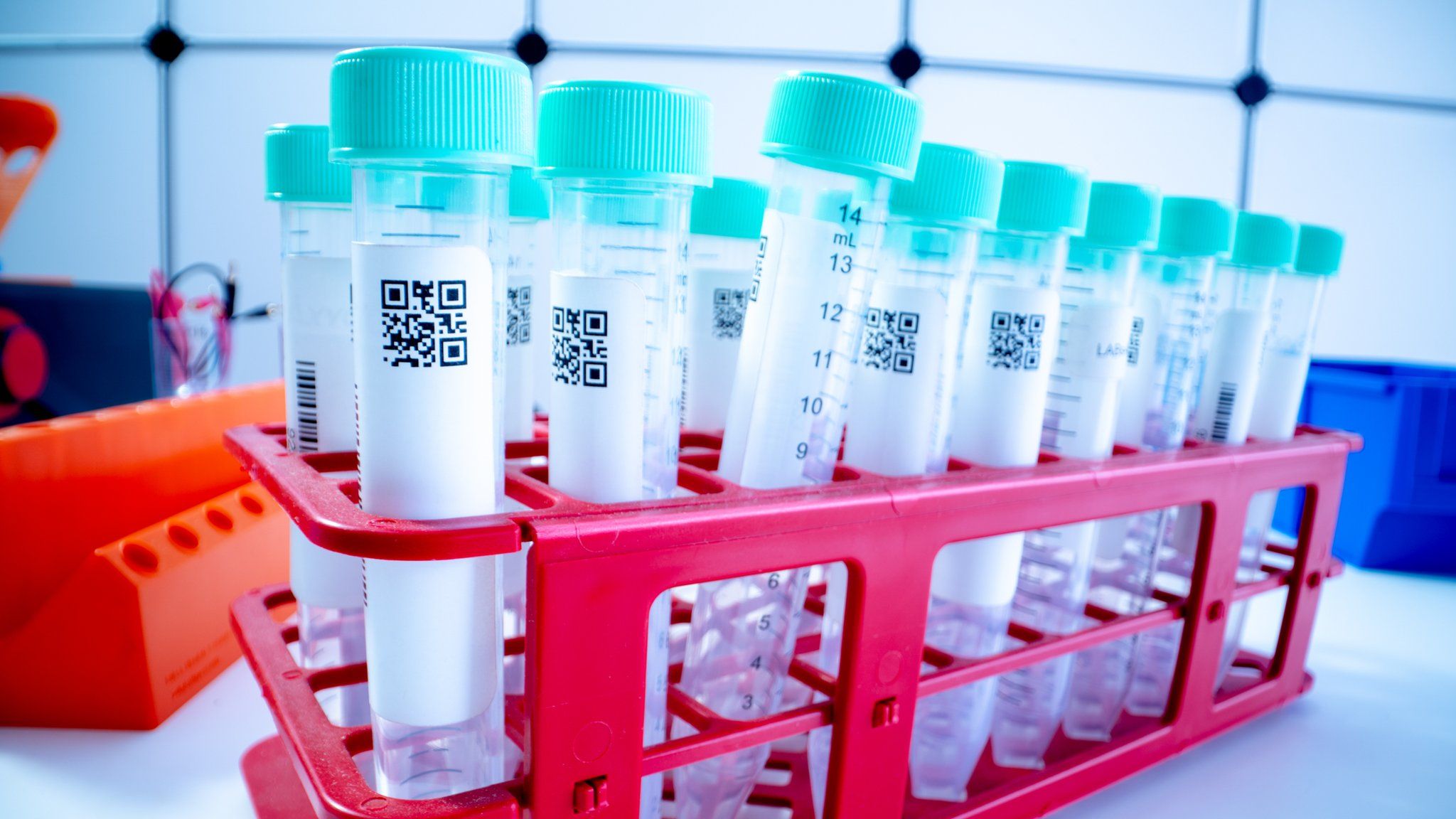 PCR Wallpapers - Top Free PCR Backgrounds - WallpaperAccess