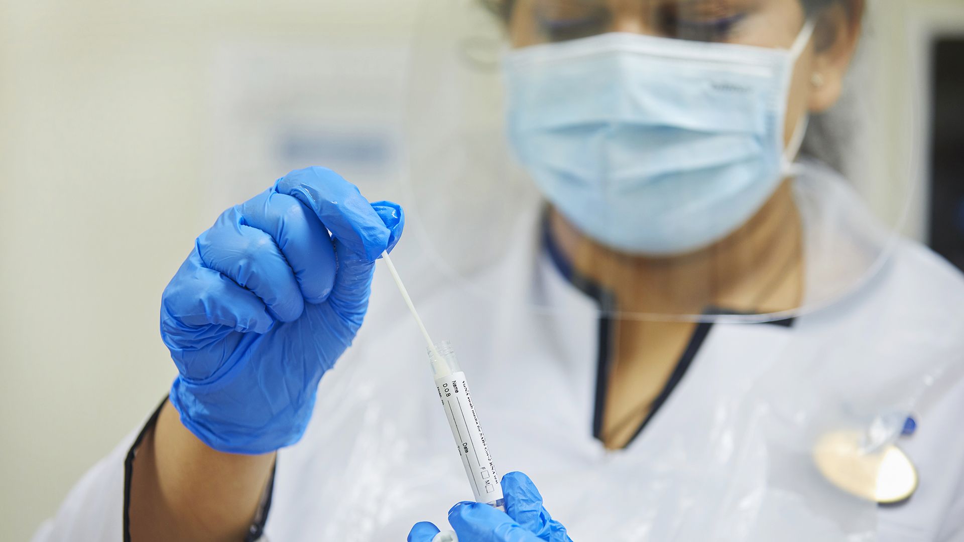 PCR Wallpapers - Top Free PCR Backgrounds - WallpaperAccess