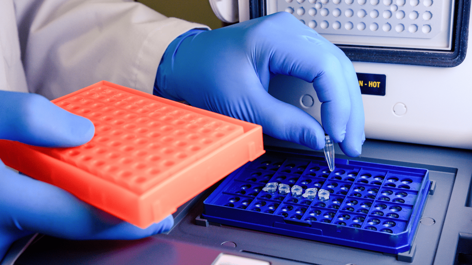 PCR Wallpapers - Top Free PCR Backgrounds - WallpaperAccess