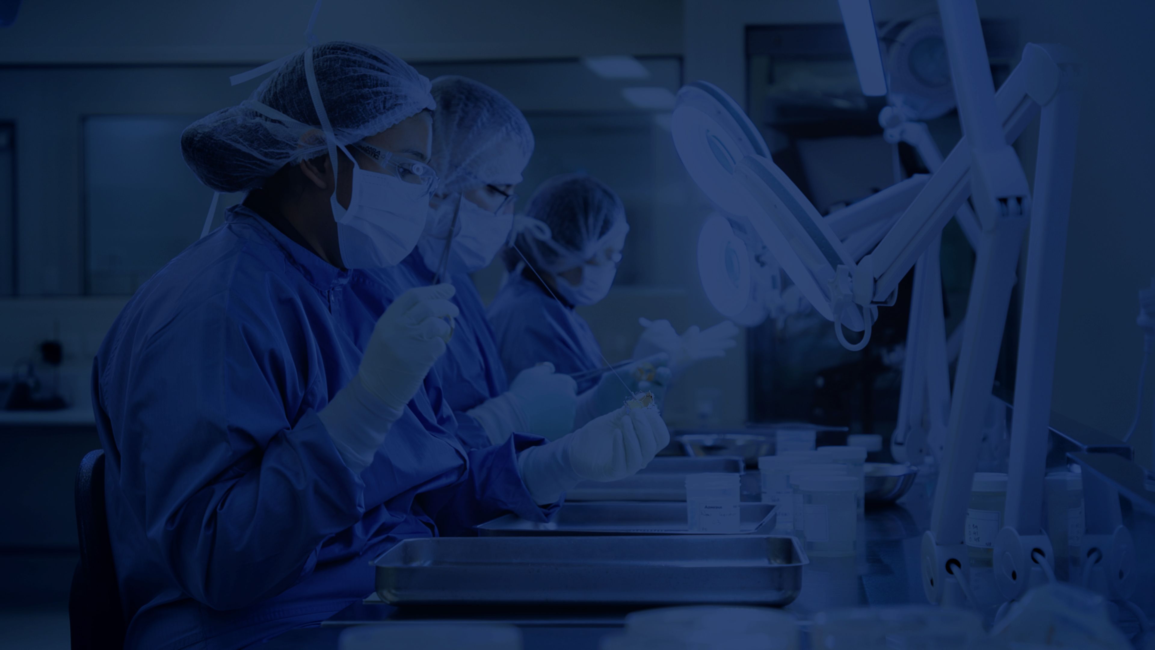 PCR Wallpapers - Top Free PCR Backgrounds - WallpaperAccess