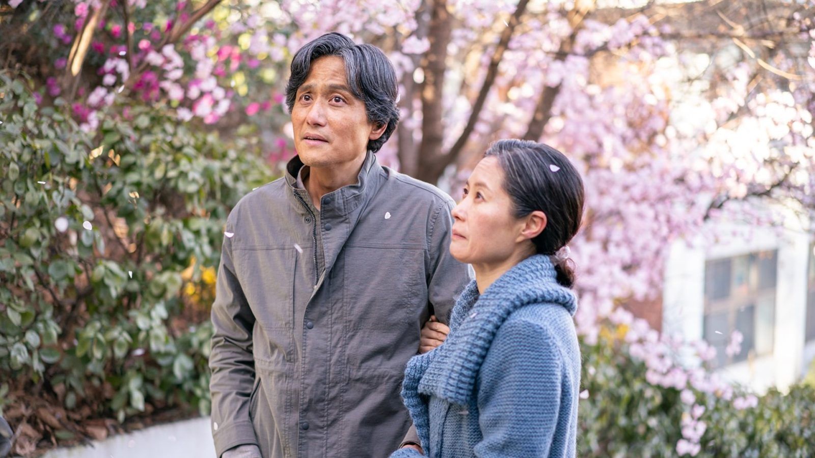 When Life Gives You Tangerines Wallpapers - Top Free When Life Gives ...