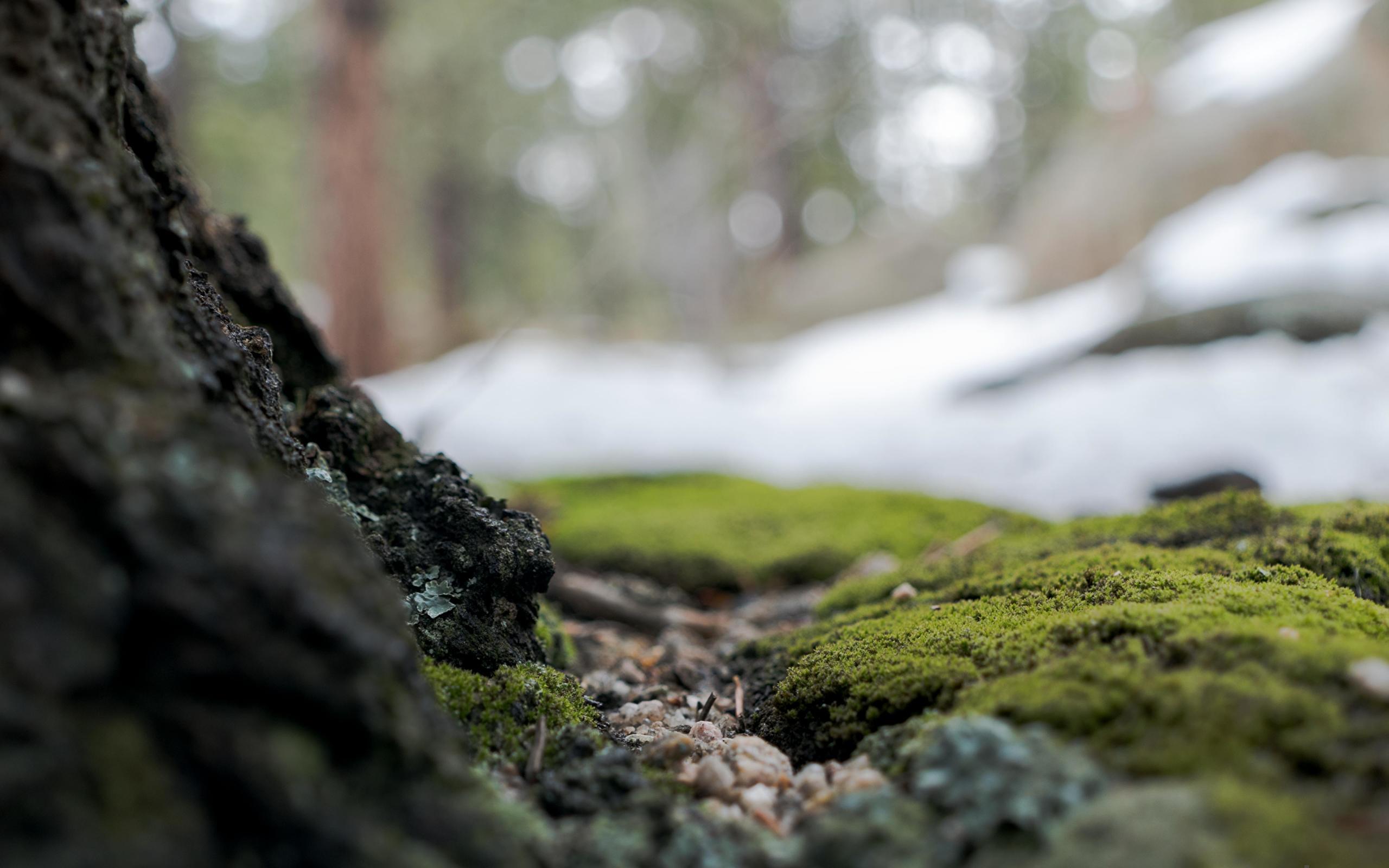 Hike Wallpapers - Top Free Hike Backgrounds - WallpaperAccess