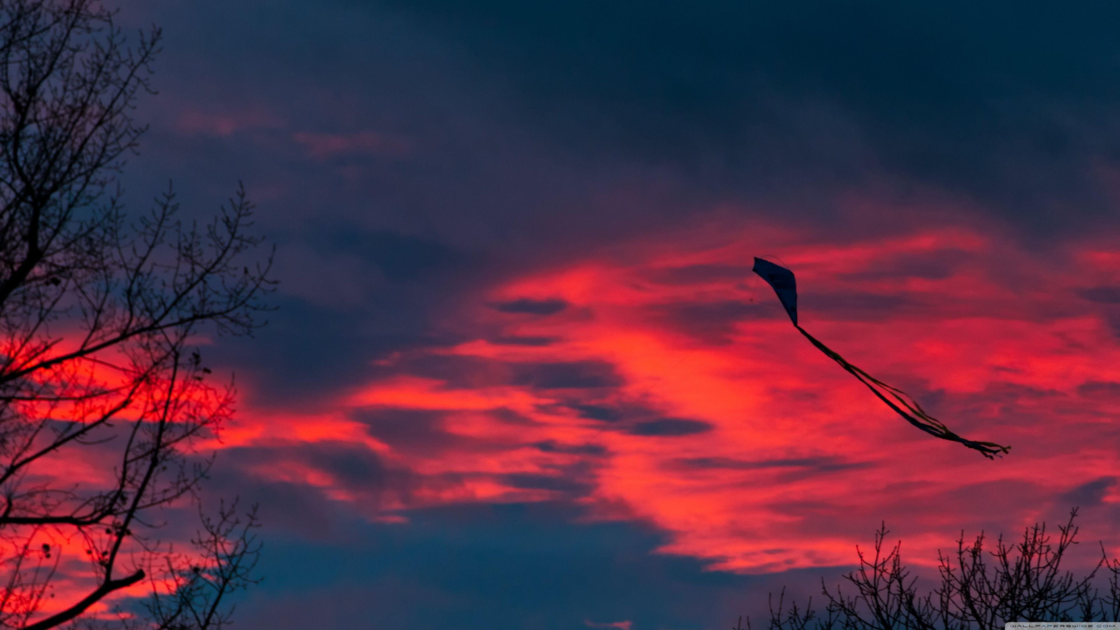 Kite Wallpapers - Top Free Kite Backgrounds - WallpaperAccess