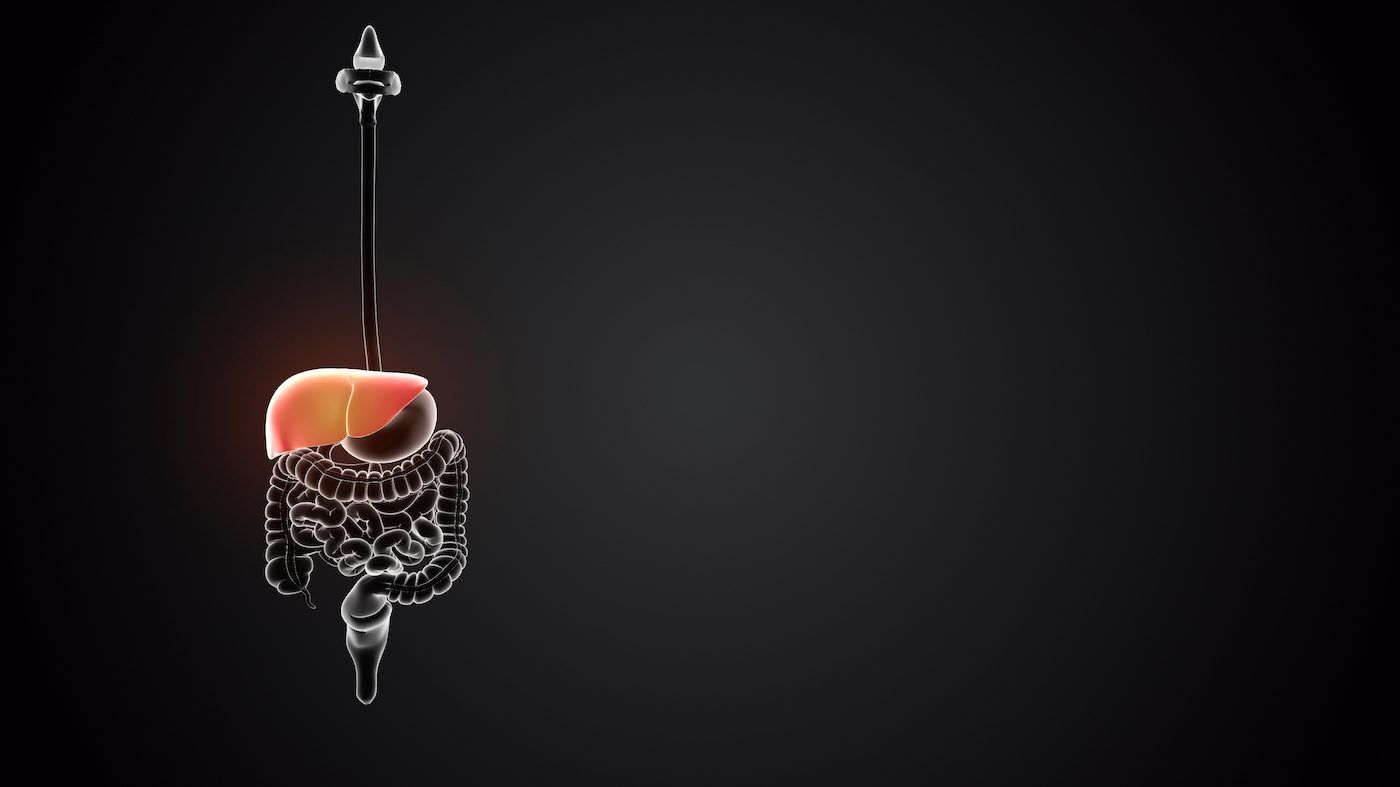 Fatty Wallpapers - Top Free Fatty Backgrounds - WallpaperAccess