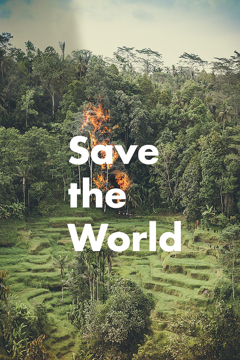Save Environment Wallpapers - Top Free Save Environment Backgrounds ...