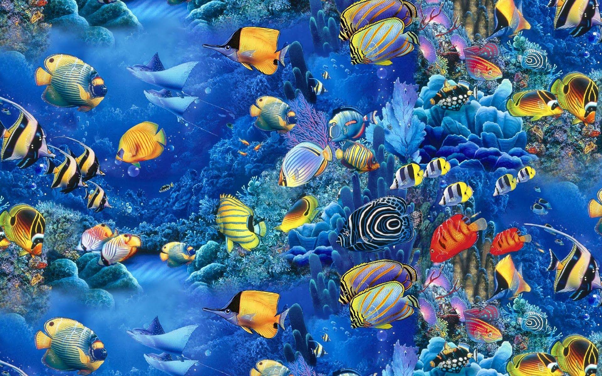 Animated Fish Wallpapers - Top Free Animated Fish Backgrounds ...