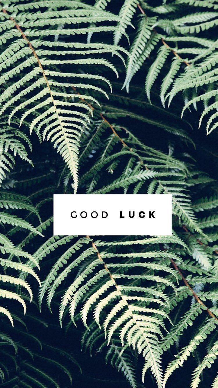 Good Luck Wallpapers - Top Free Good Luck Backgrounds - WallpaperAccess