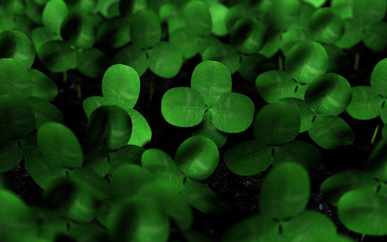 Good Luck Wallpapers - Top Free Good Luck Backgrounds - WallpaperAccess