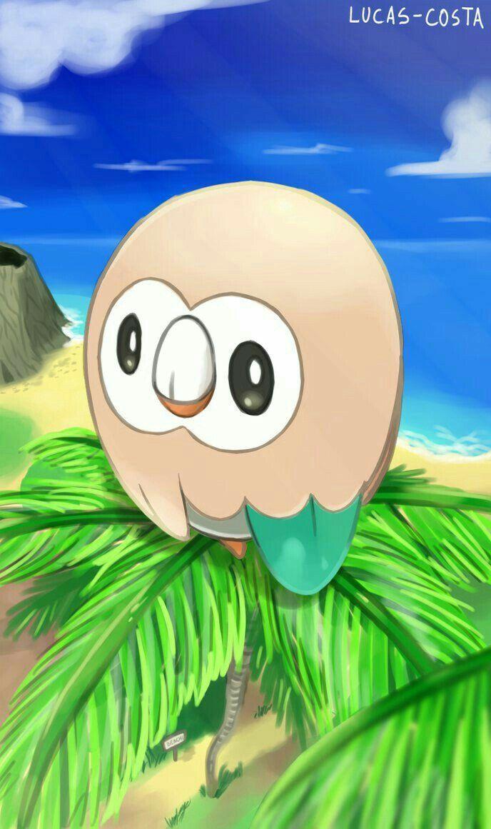 Rowlet Wallpapers - Top Free Rowlet Backgrounds - WallpaperAccess