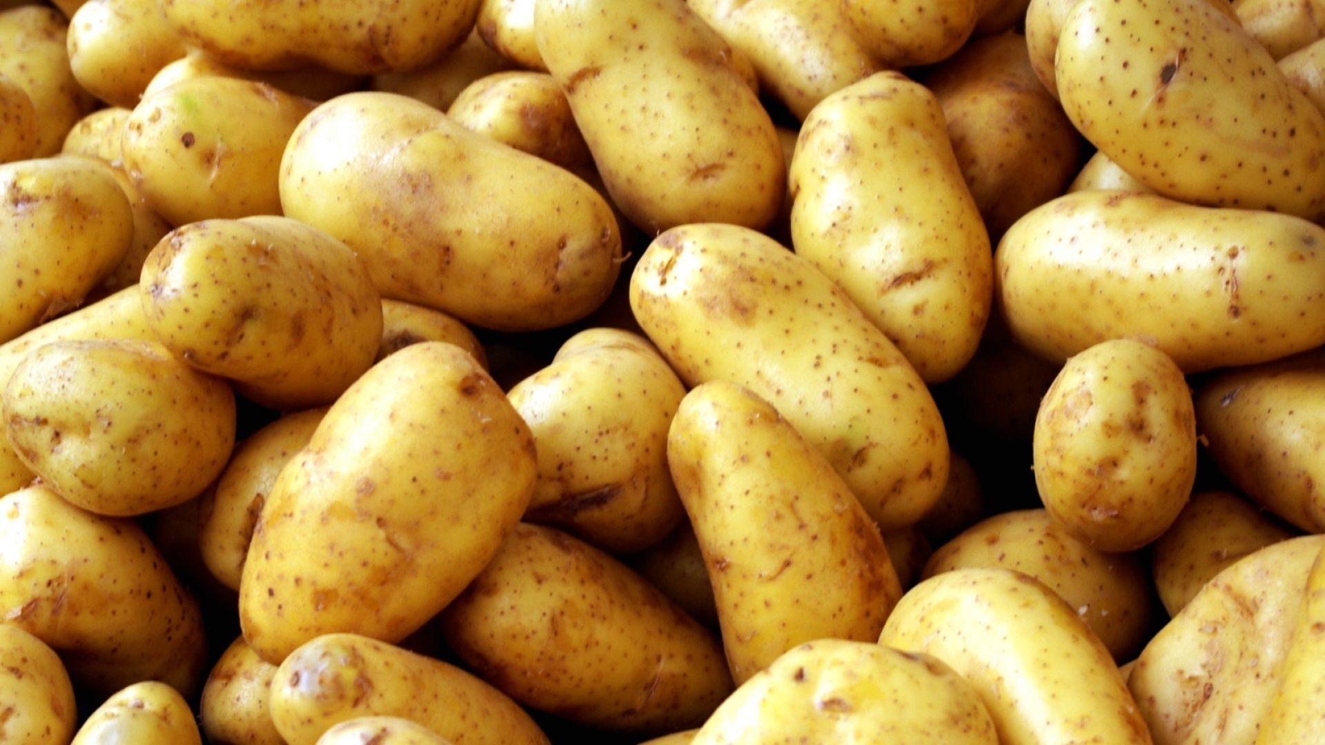 Potato Wallpapers - Top Free Potato Backgrounds - WallpaperAccess