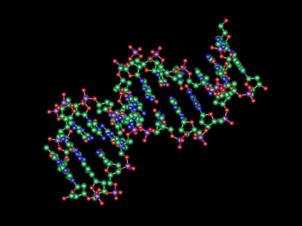 Biomedical Engineering Wallpapers - Top Free Biomedical Engineering ...
